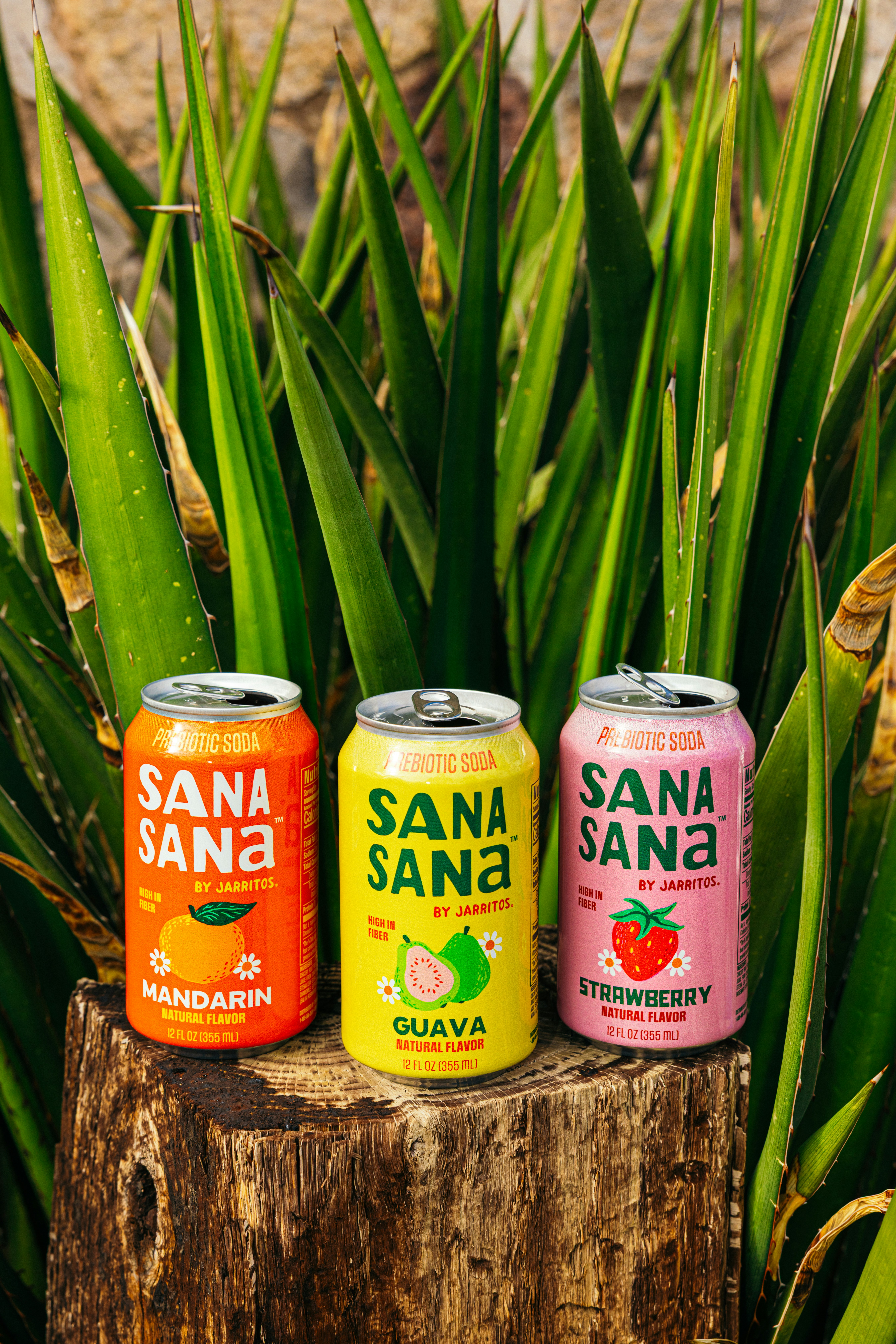 Three Squeezed Sodas on a Weathered Log in a Garden Greenery Setting