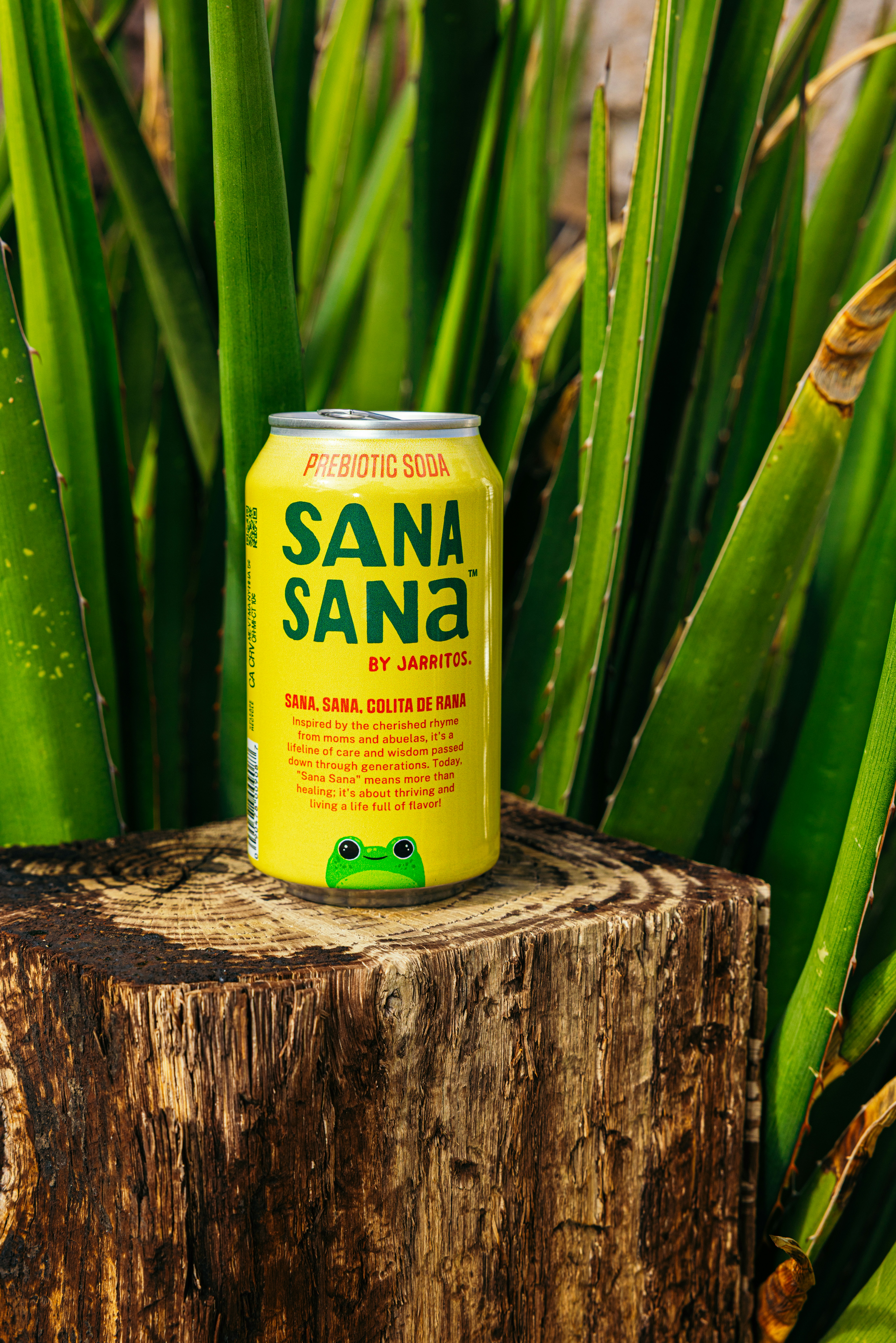Sana Sana on a Sunlit Log: A Yellow Can Among Green Reeds