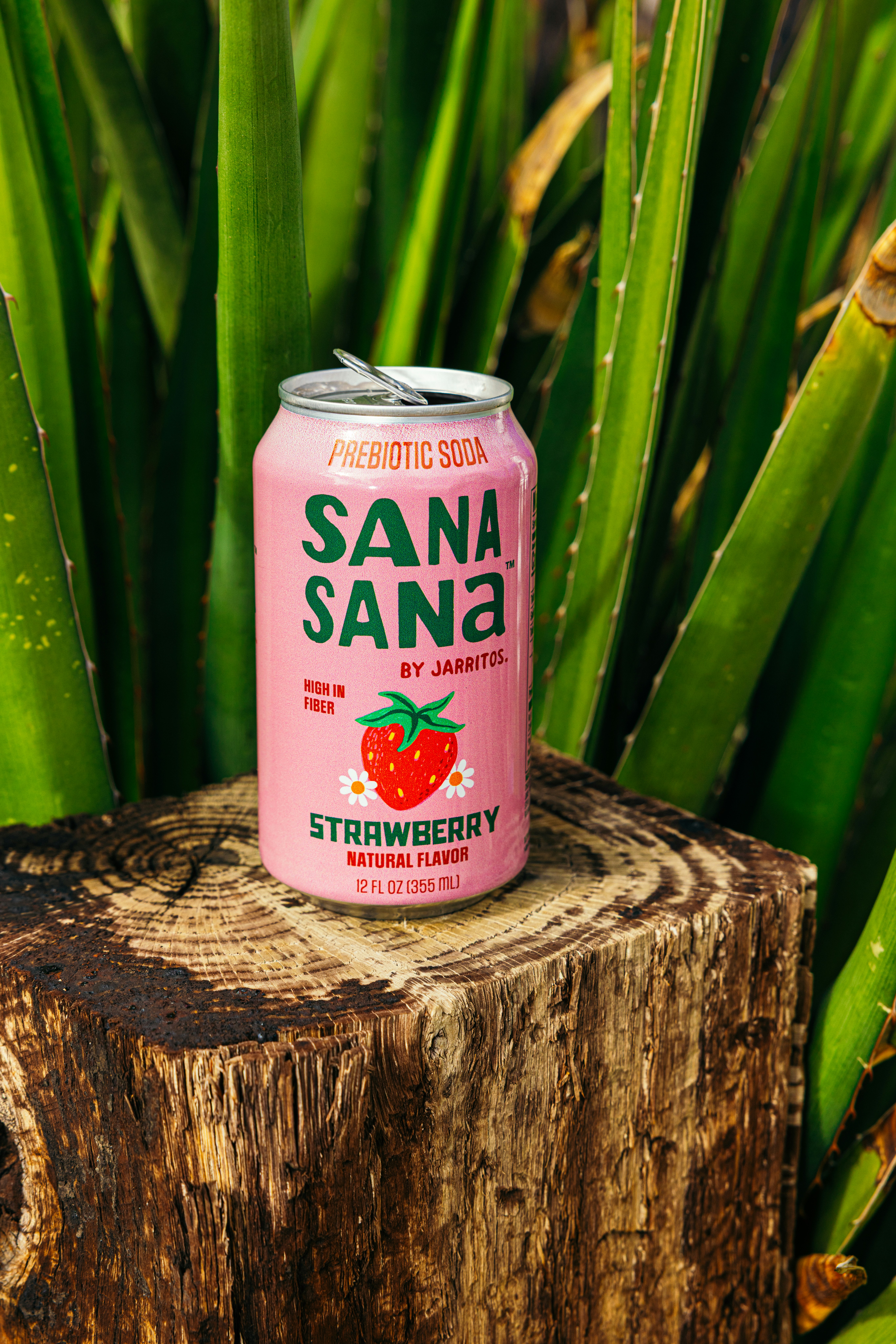Strawberry Soda on a Forest Stage