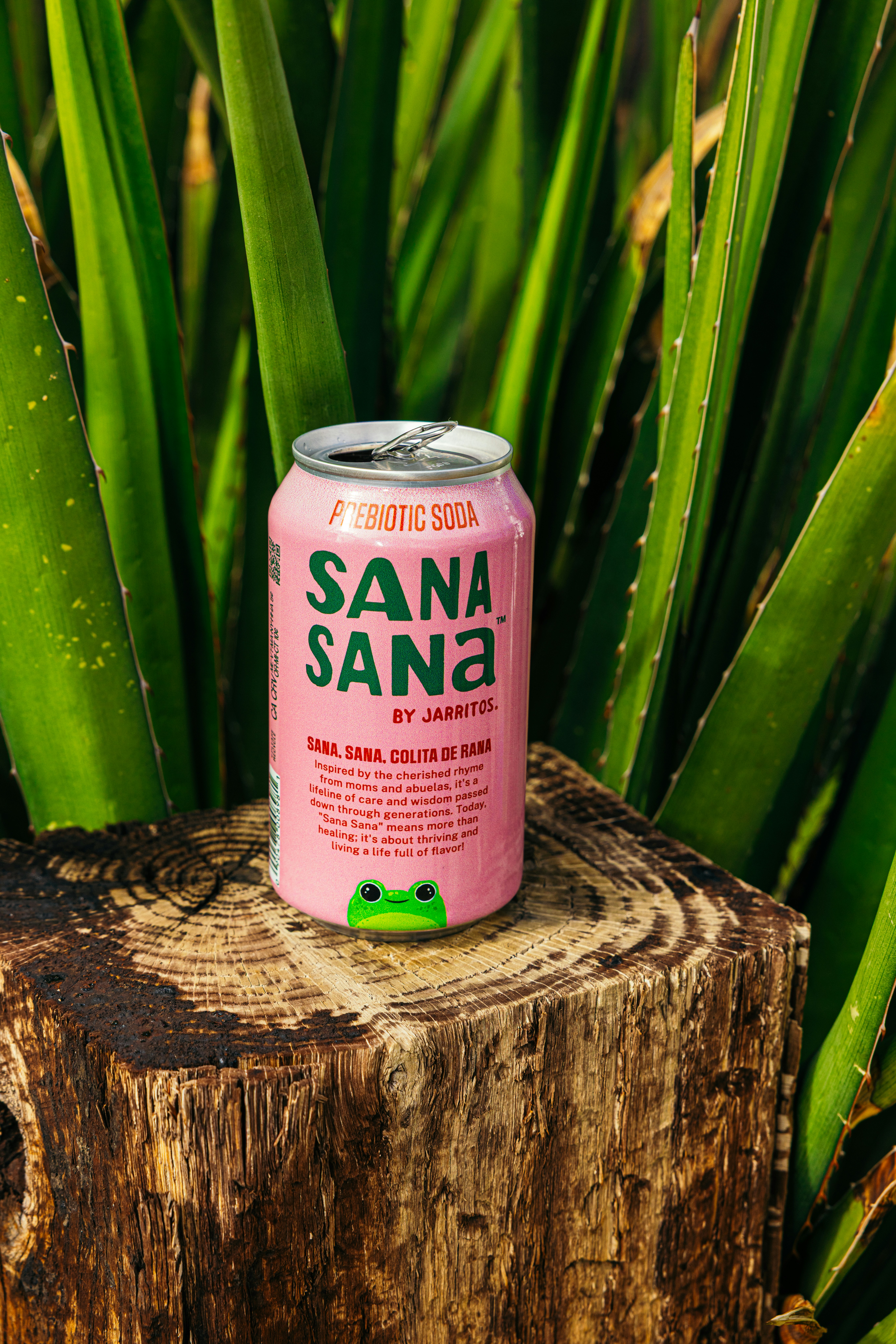 Pink Sipper on a Mushroom Throne: SANA SANA in the Green Corridor