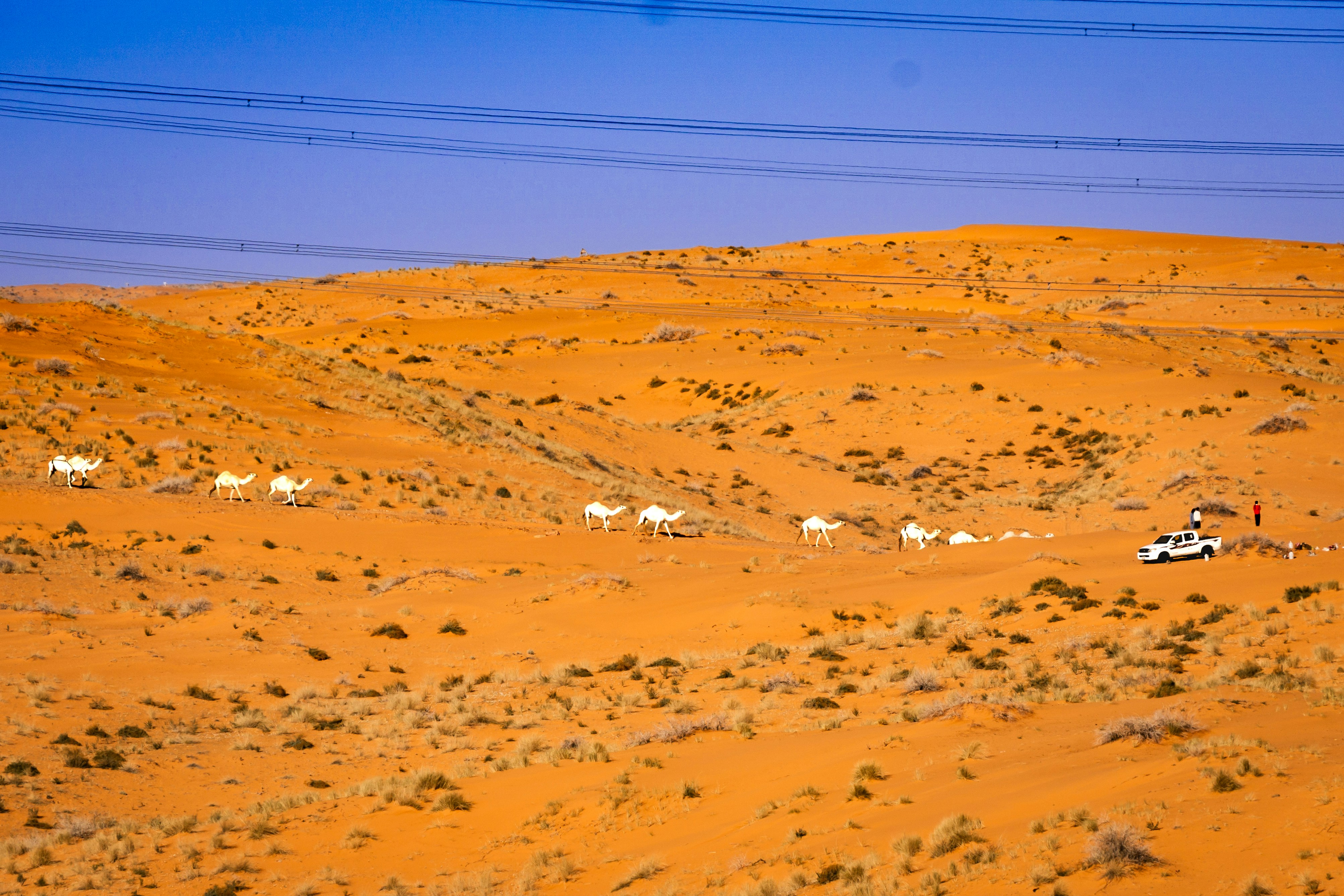 Desert Caravan: White Dunes and a Silver SUV Trek Across the Golden Sands