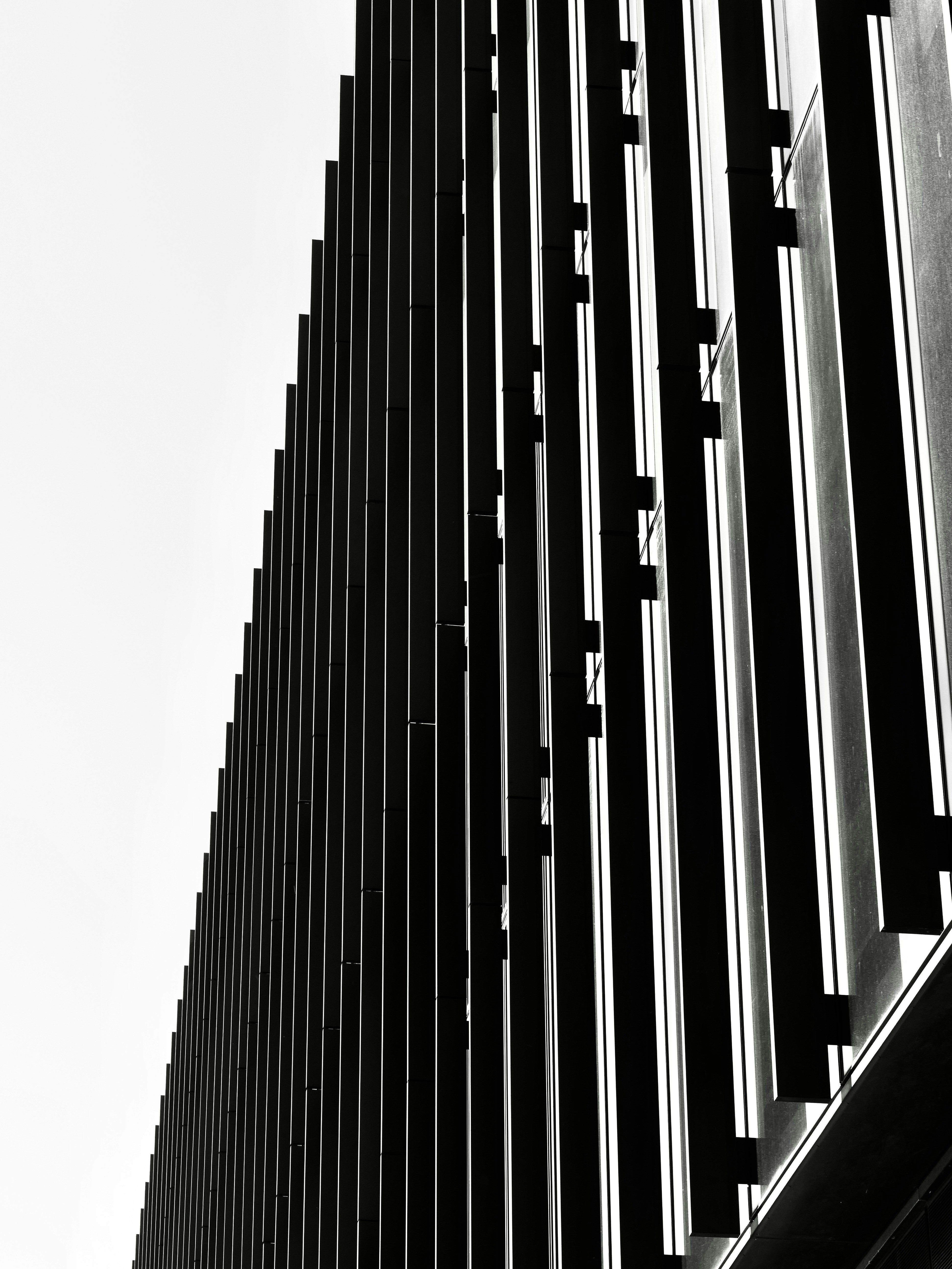 Vertical Cadence: Striations of Light and Shadow