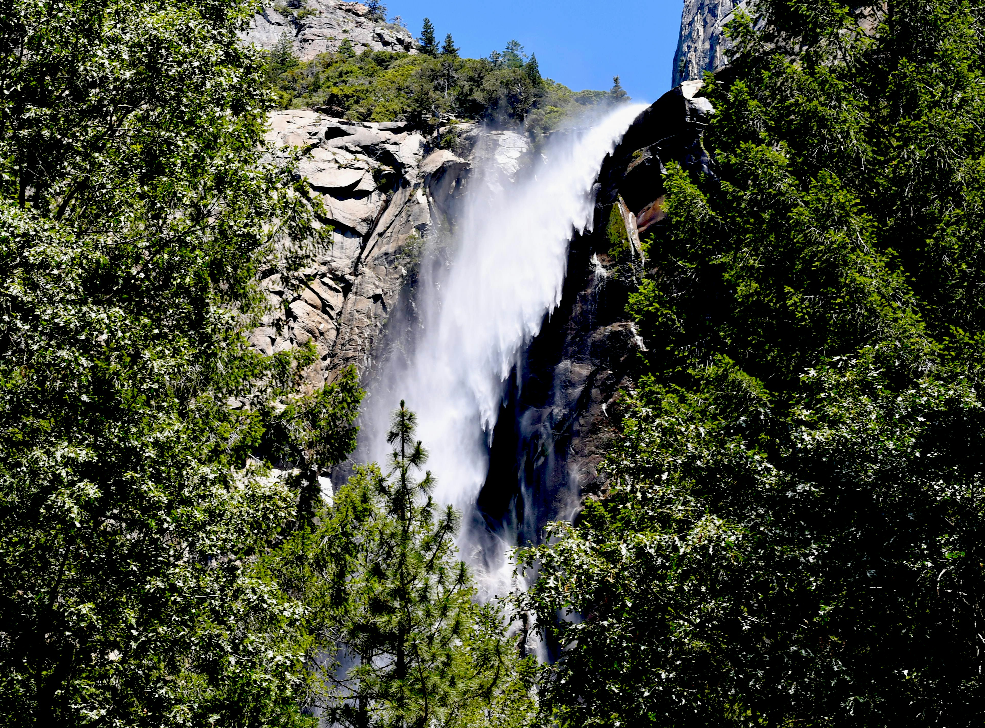 Cascade Through the Pines: A Narrow Corridor of Water