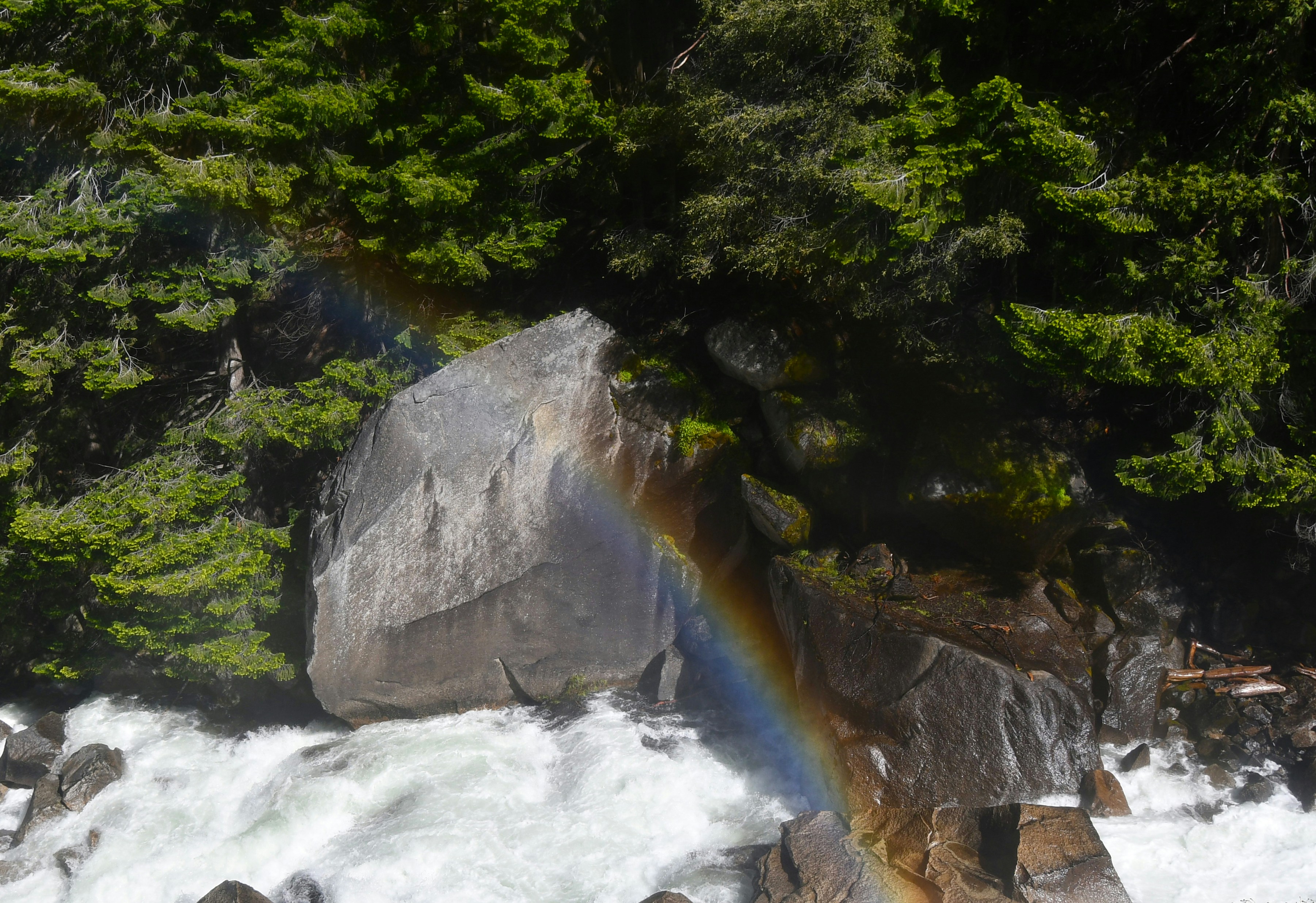 Rainbow over a rugged river bend framed by evergreen boulders