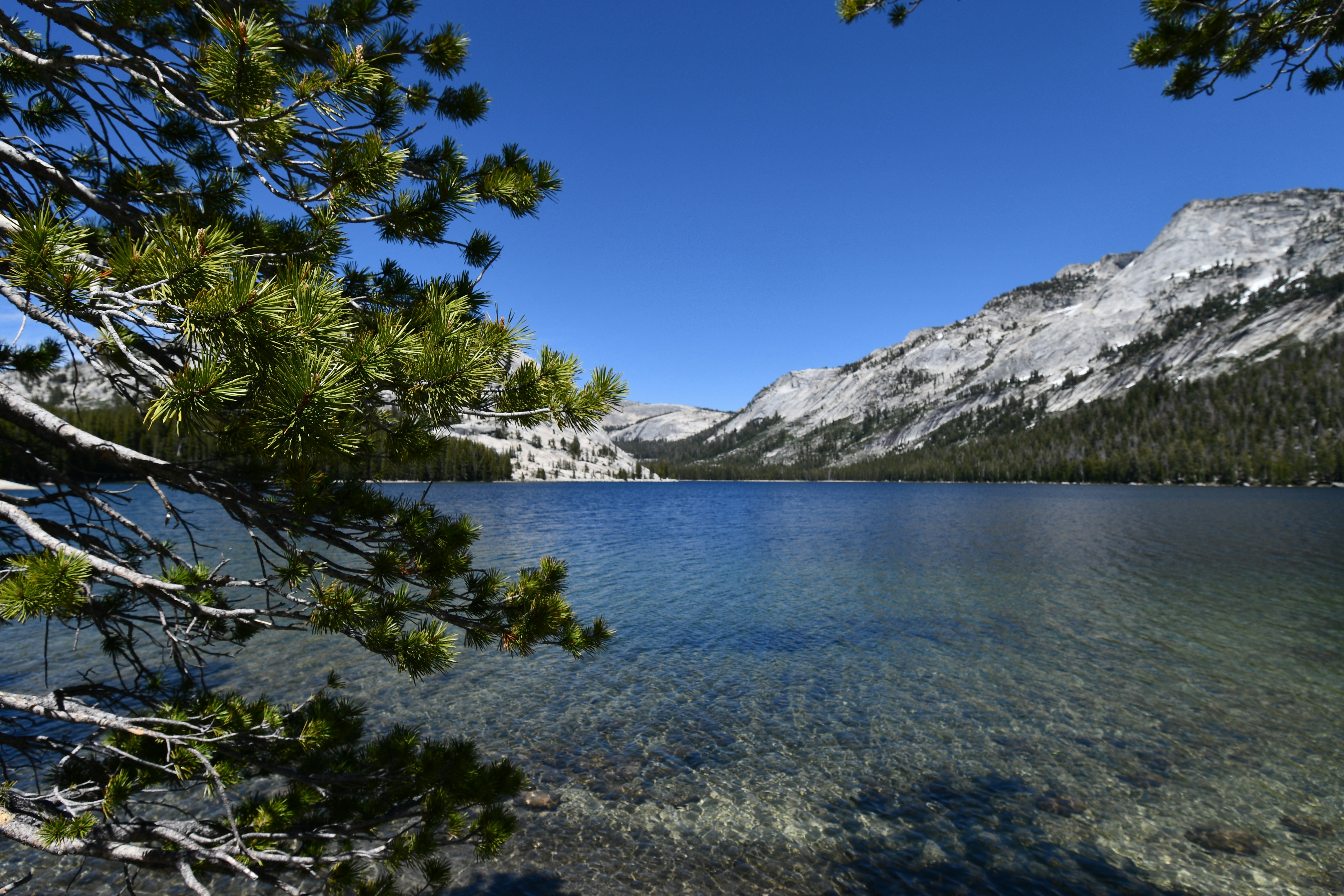 Clear Alpine Lake Framed by Pine Branches and Granite Peaks