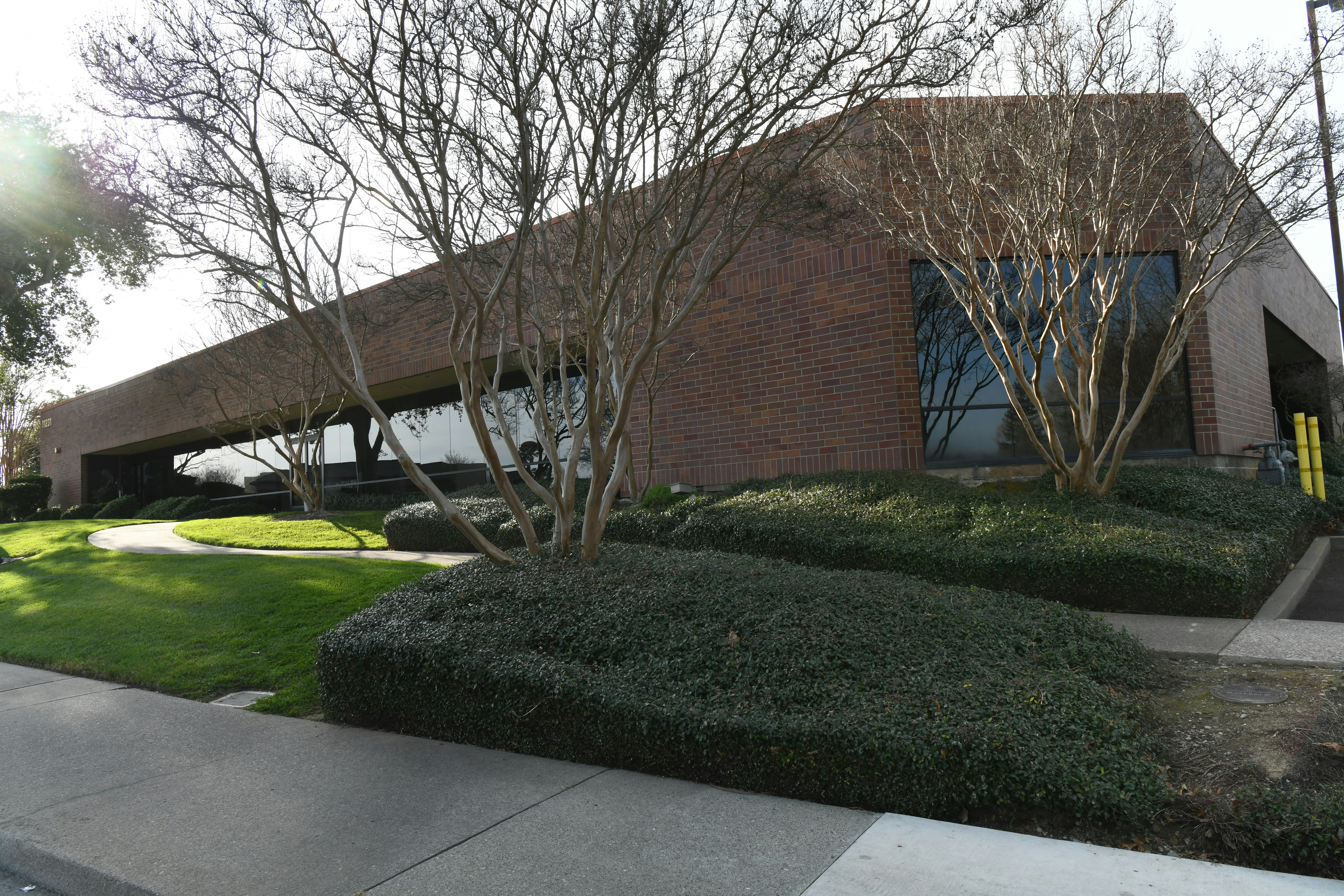 Midday Campus Shield: A Brick Facade Framed by Pruned Landscape
