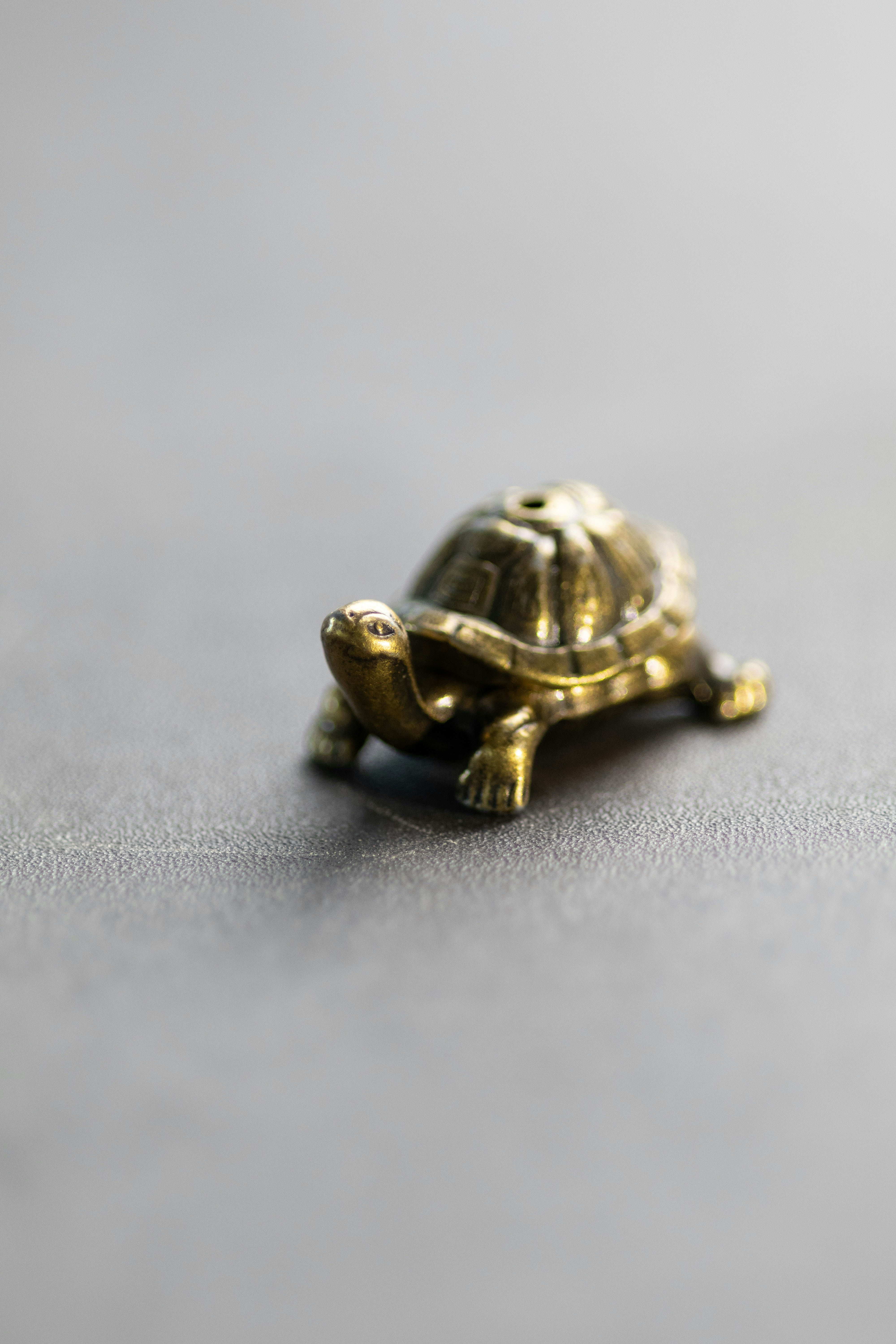 Tiny Bronze Turtle, Big Focus: A Macro Moment on a Dark Desk