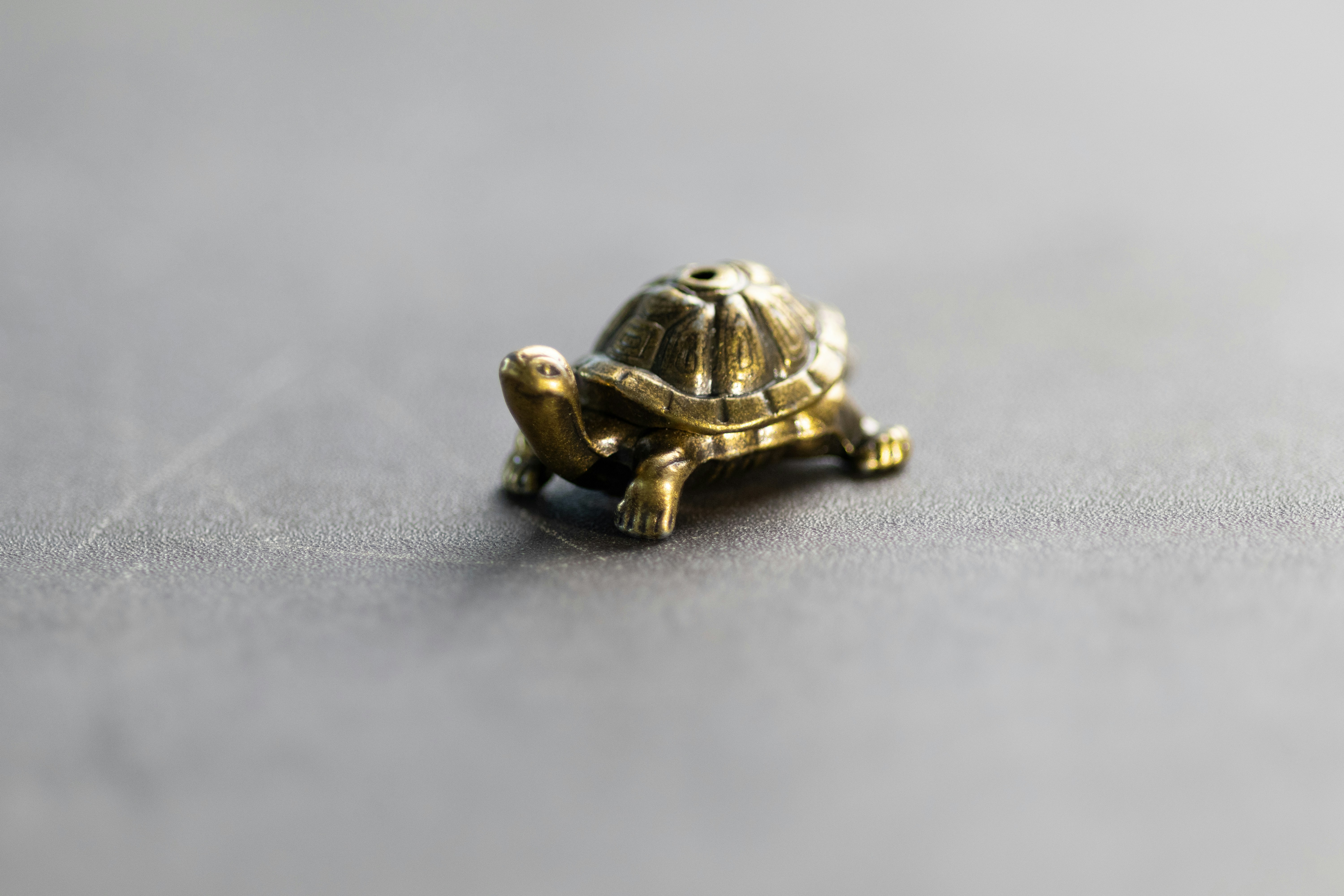 A small golden turtle figurine on a grey surface.