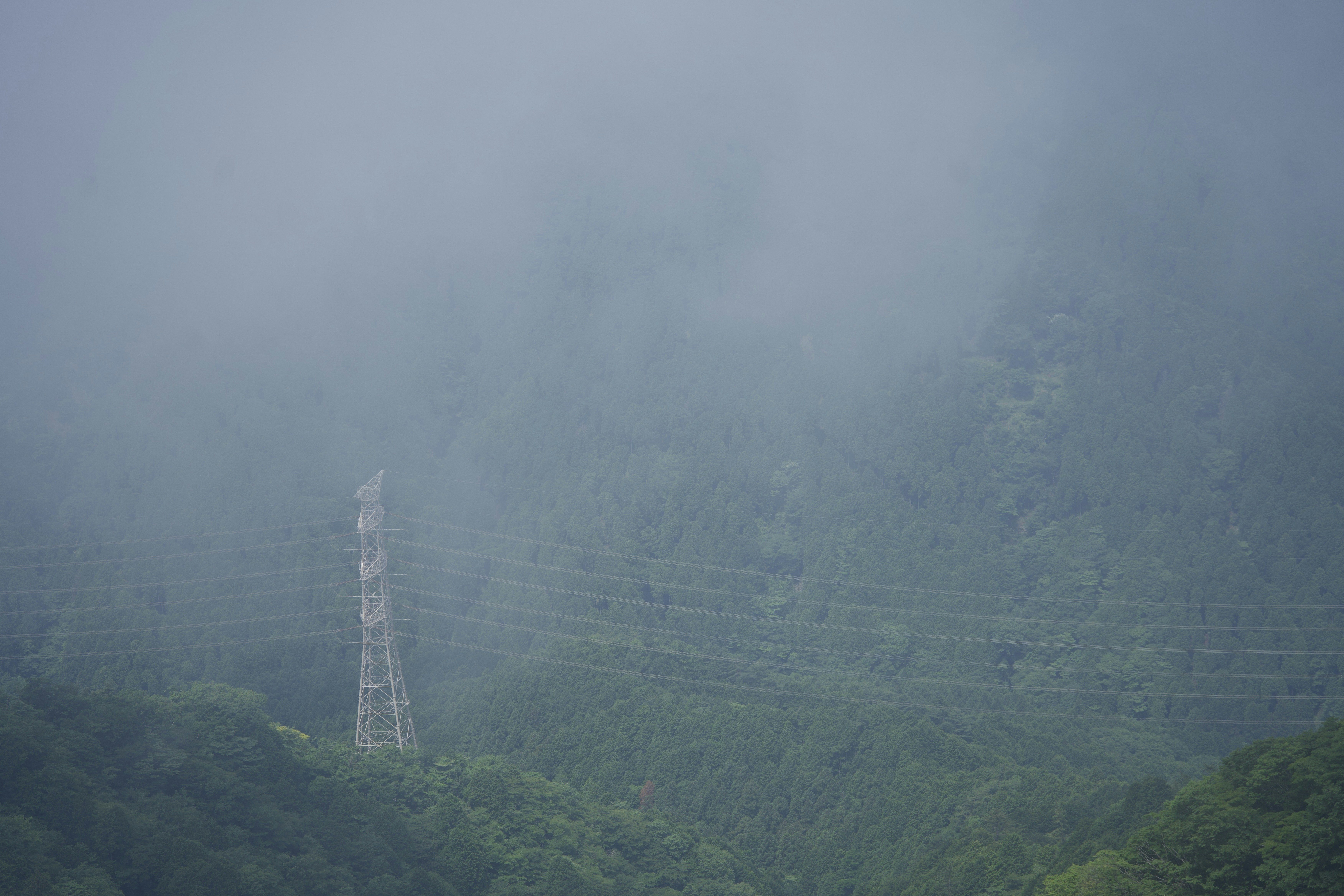 A power line tower stands on a foggy, forested mountain.