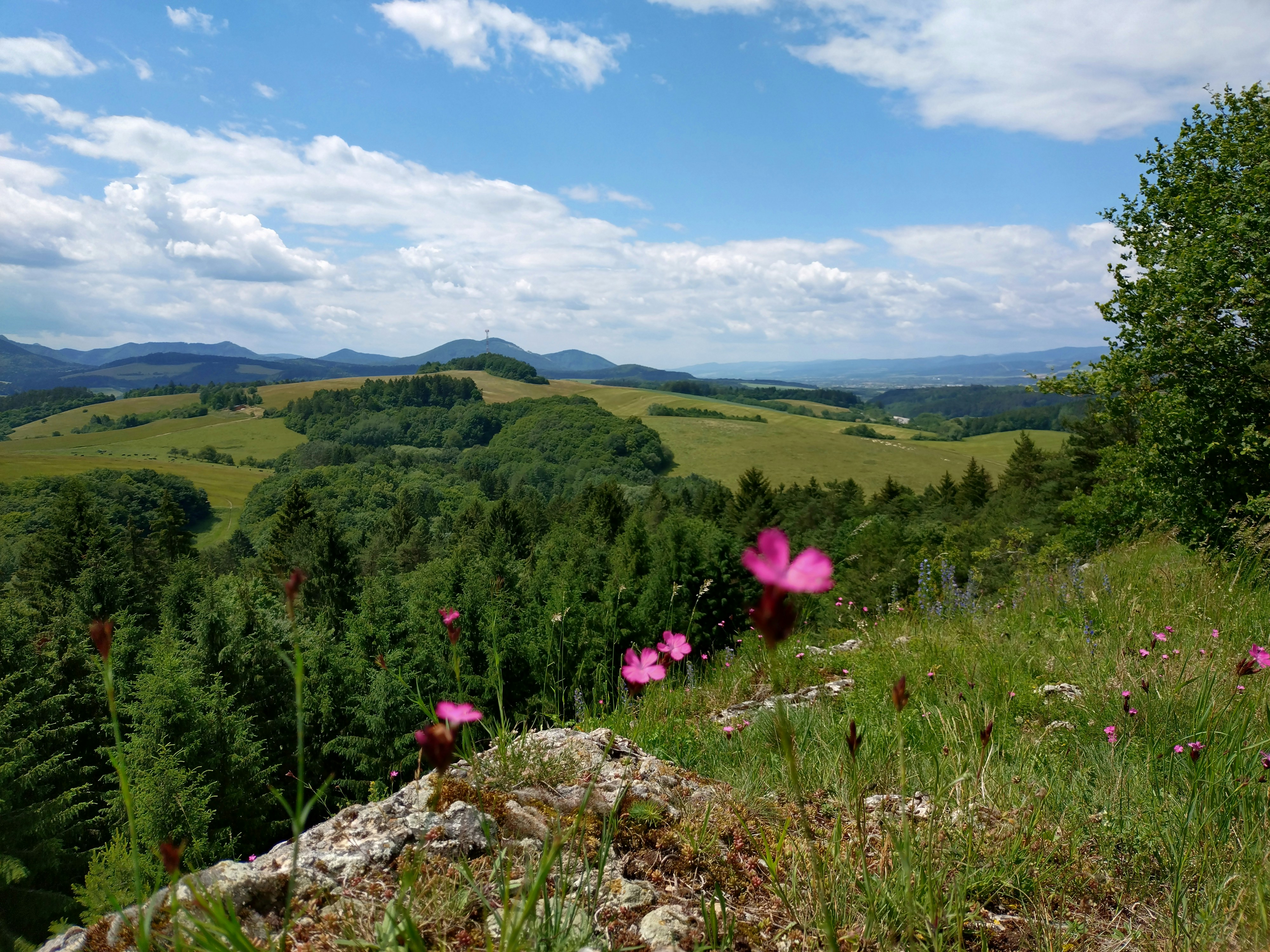 Sunlit hills roll into the distance with wildflowers and a rocky foreground under a bright, partly cloudy sky. A tranquil landscape emphasizing expansive scenery and depth.