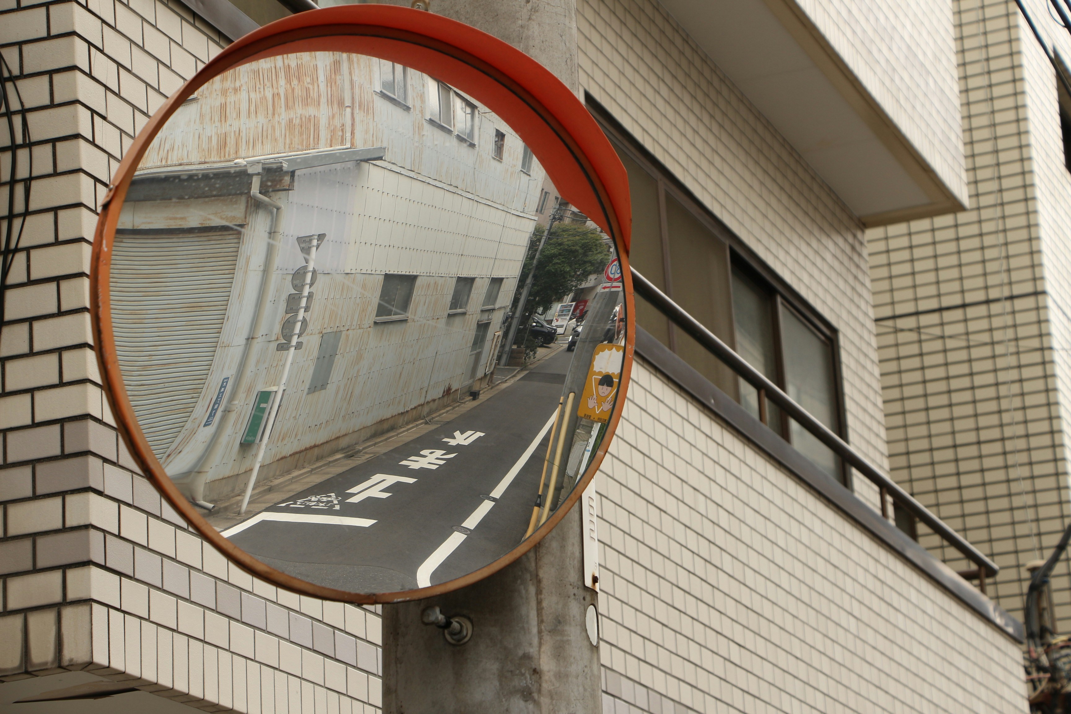 Convex Glass and Narrow Street — A Circular Mirror Perspective