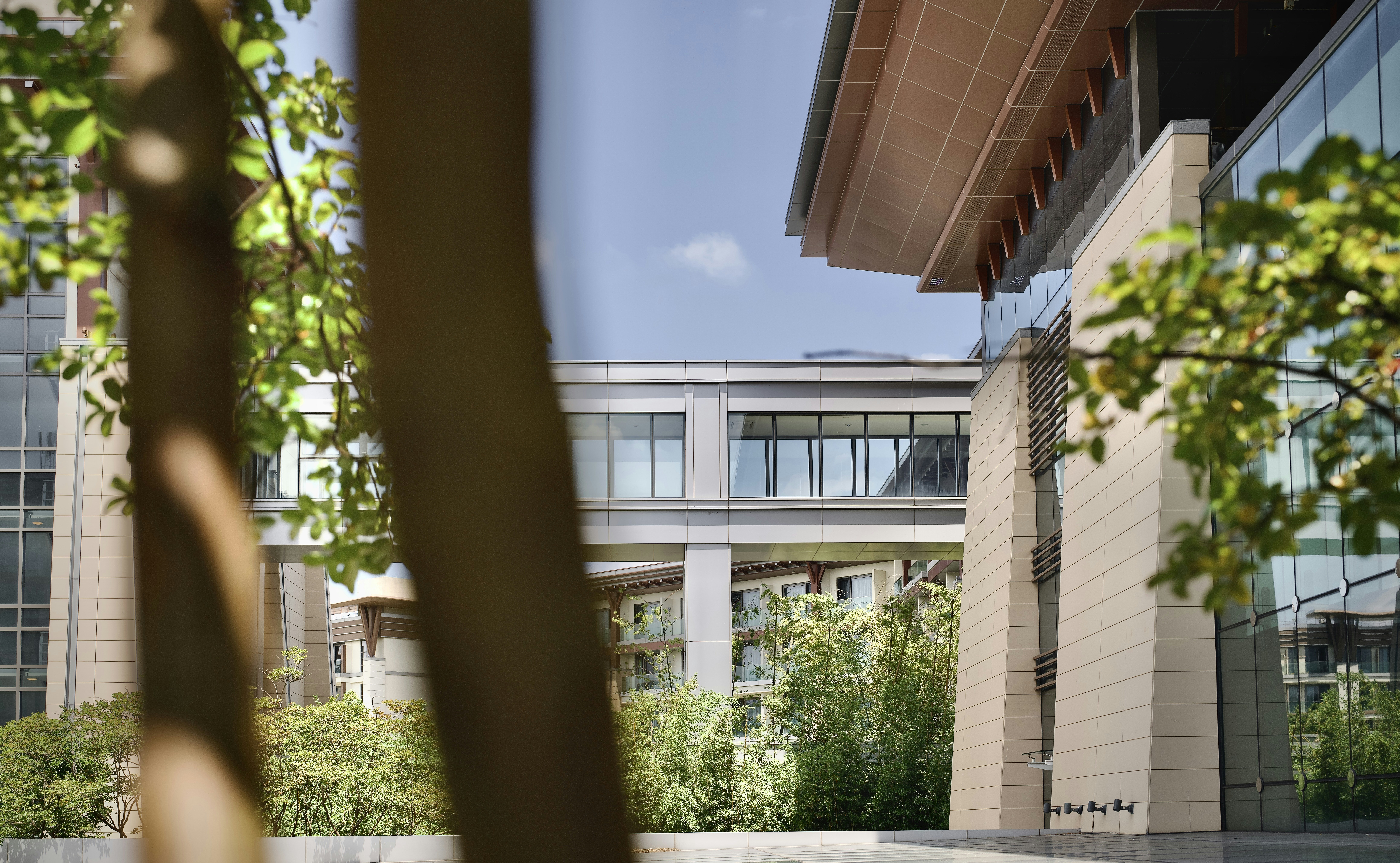 Courtyard Perspective: Modern Campus Between Glass and Cedar