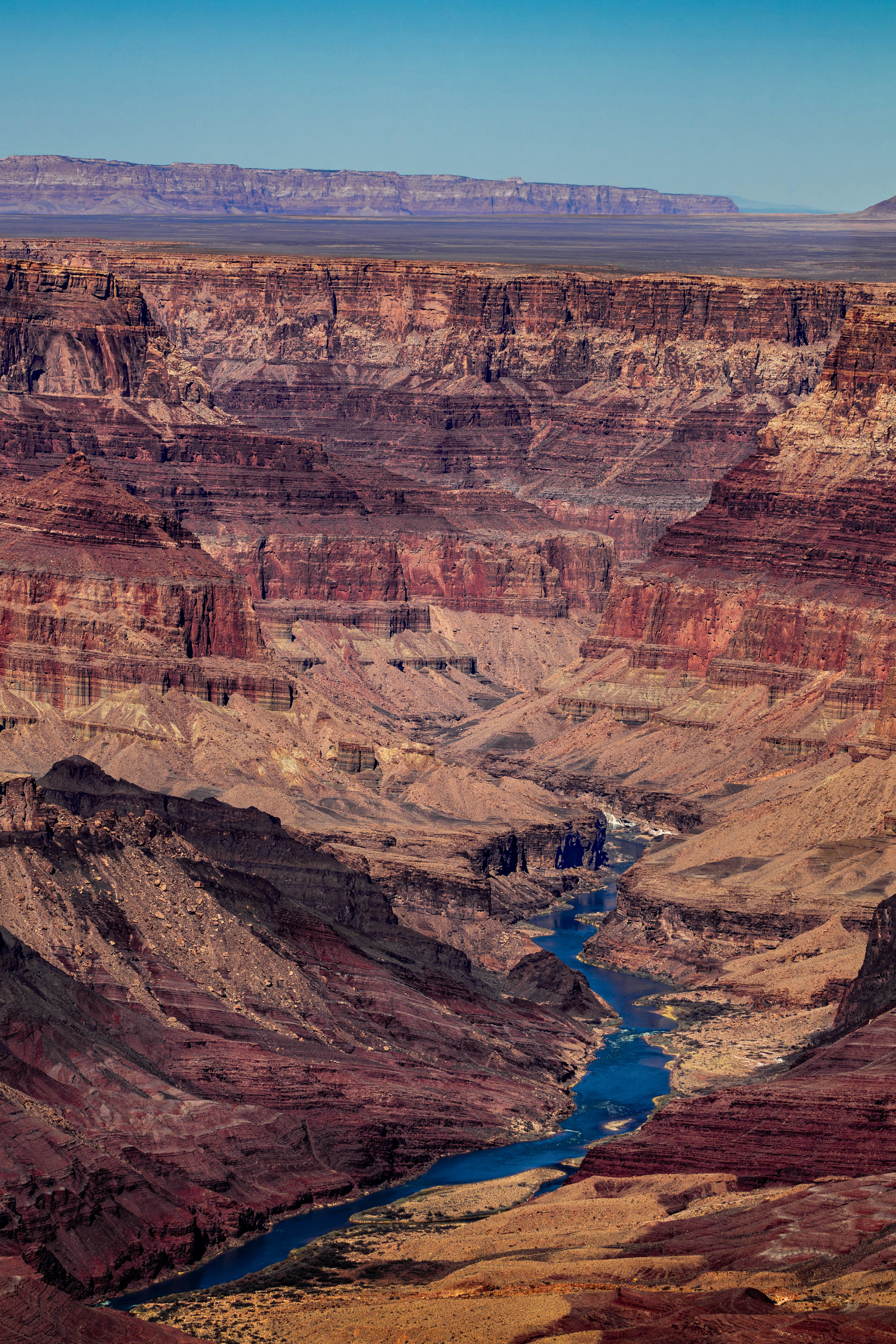 Vertical landscape view of the Colorado River winding through the Grand Canyon from Navajo Point, with layered red rock cliffs, desert textures, and distant canyon mesas under a clear blue Arizona sky.