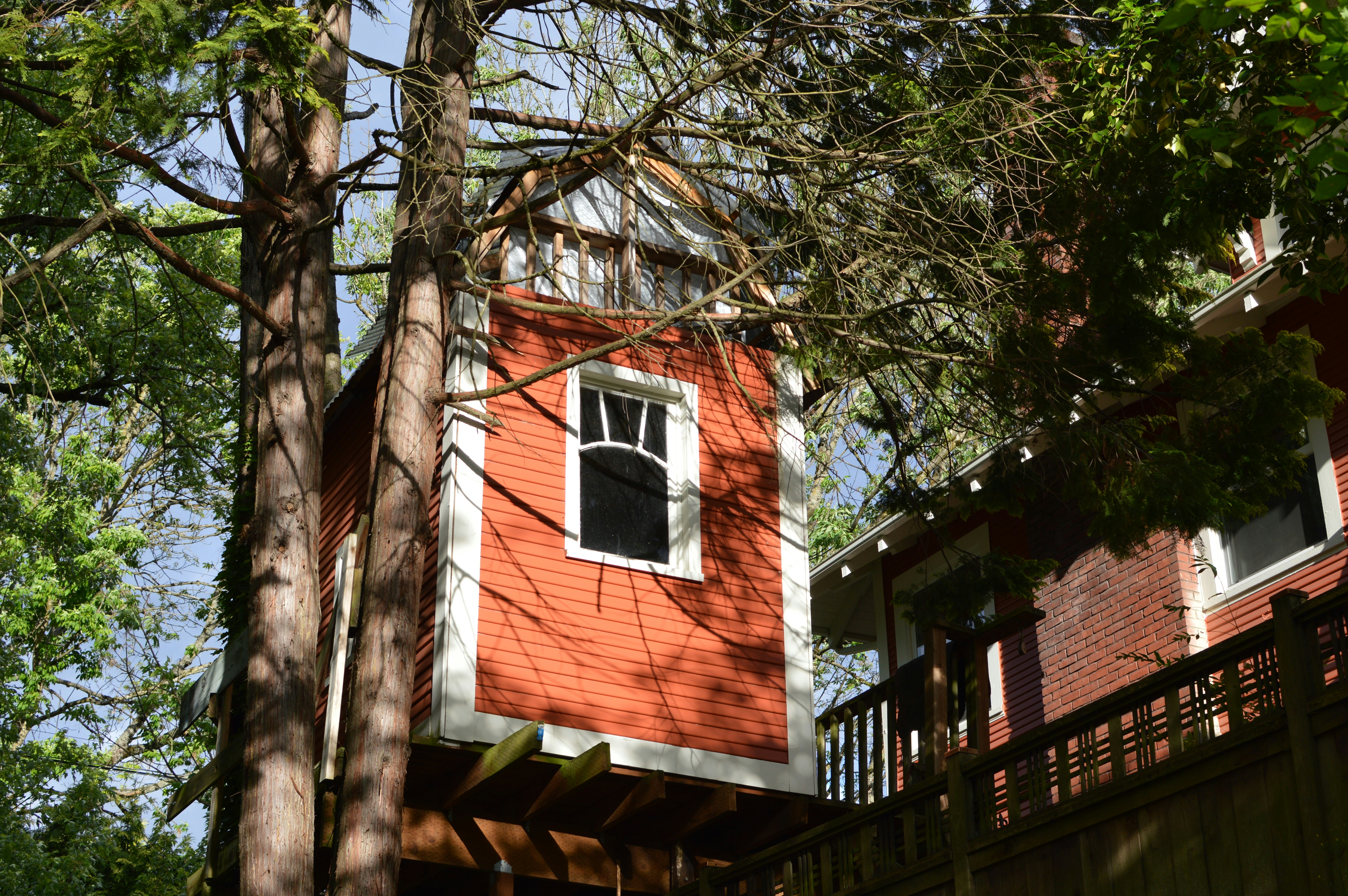 Red Treehouse Window Amid Tree Veils