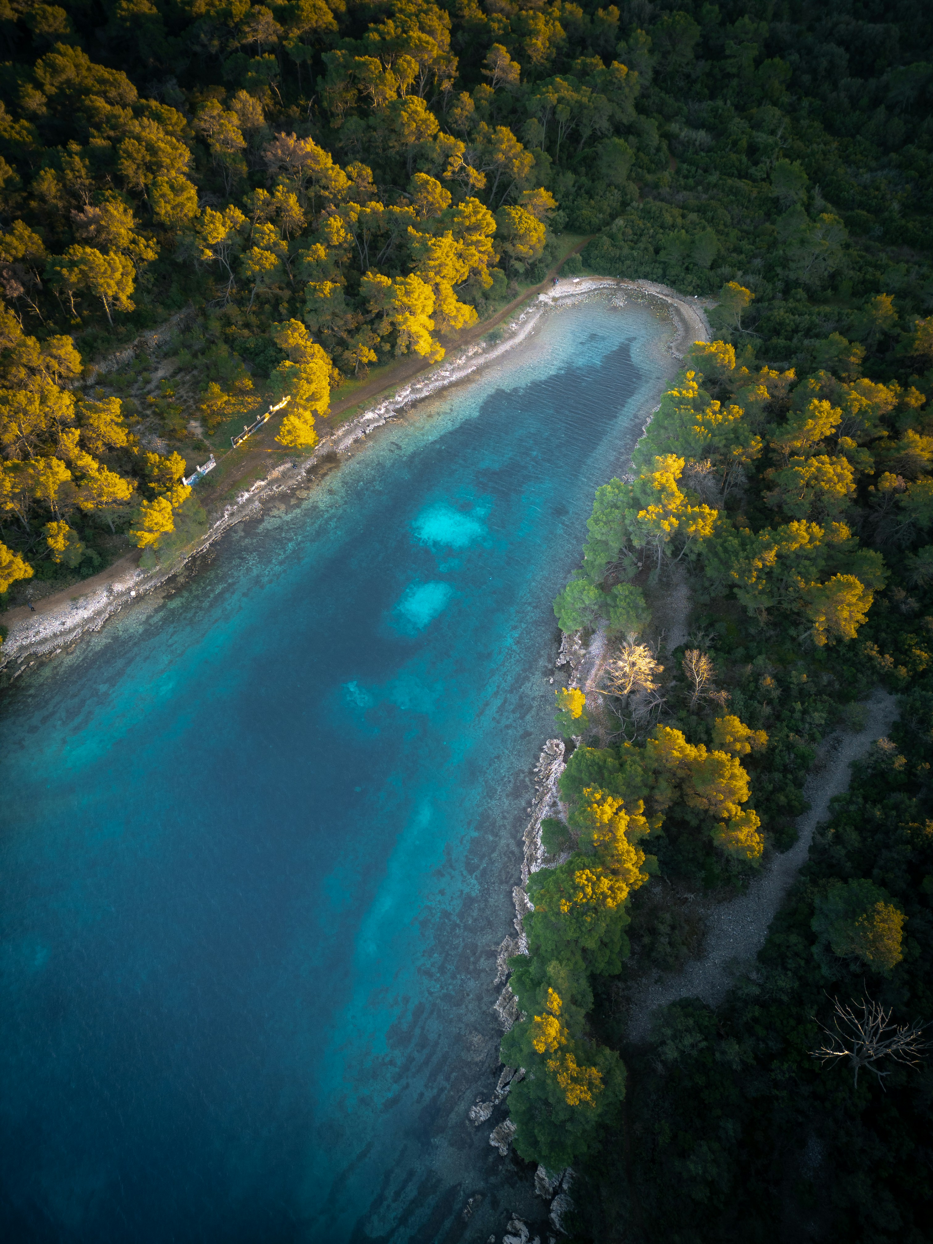 Azure Nook: Aerial Blues Amid Golden Canopy