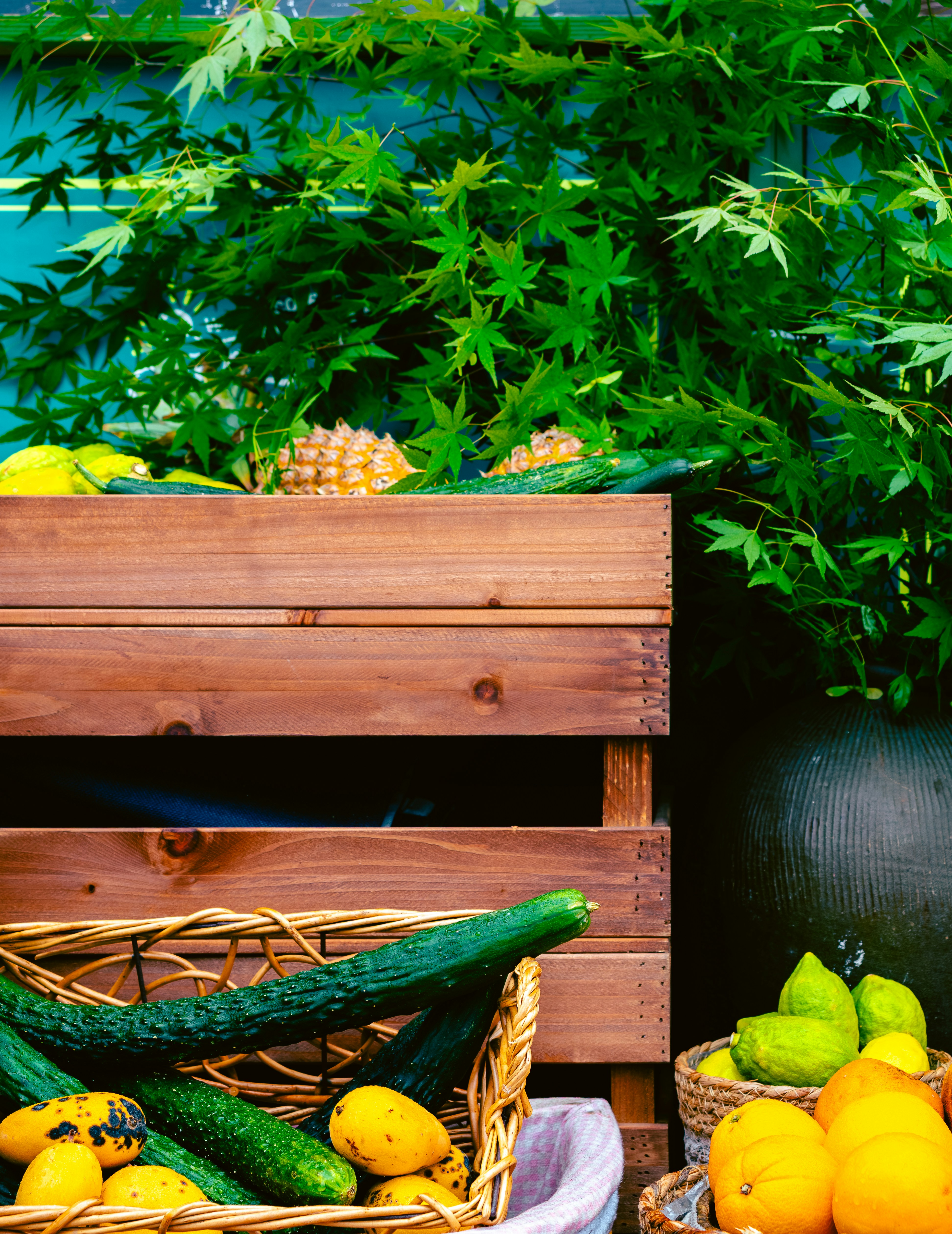 Harvest Bounty: Crates of Produce Resting Under Green Canopy