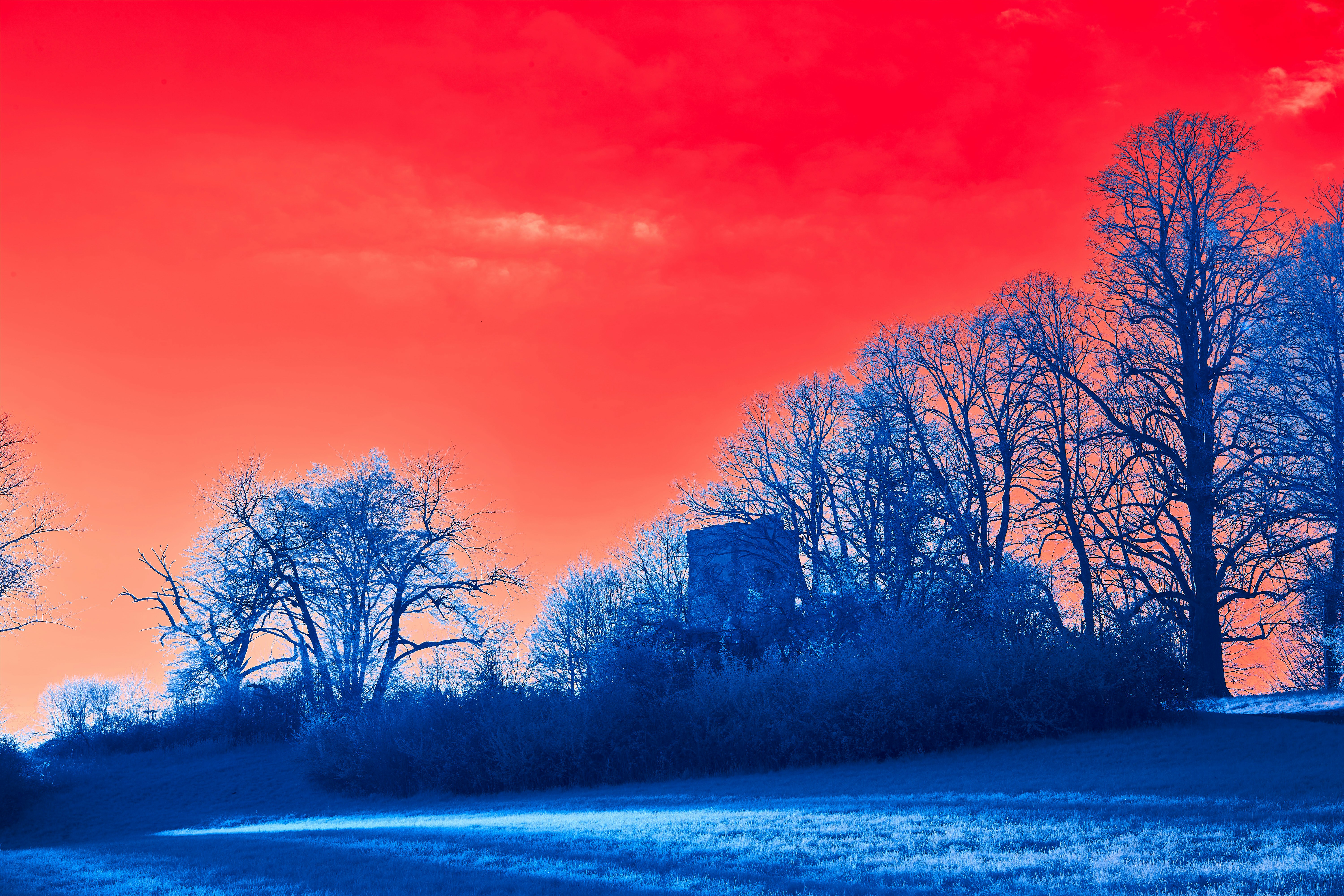 Silhouette of Trees and Ruins Under a Fiery Sky