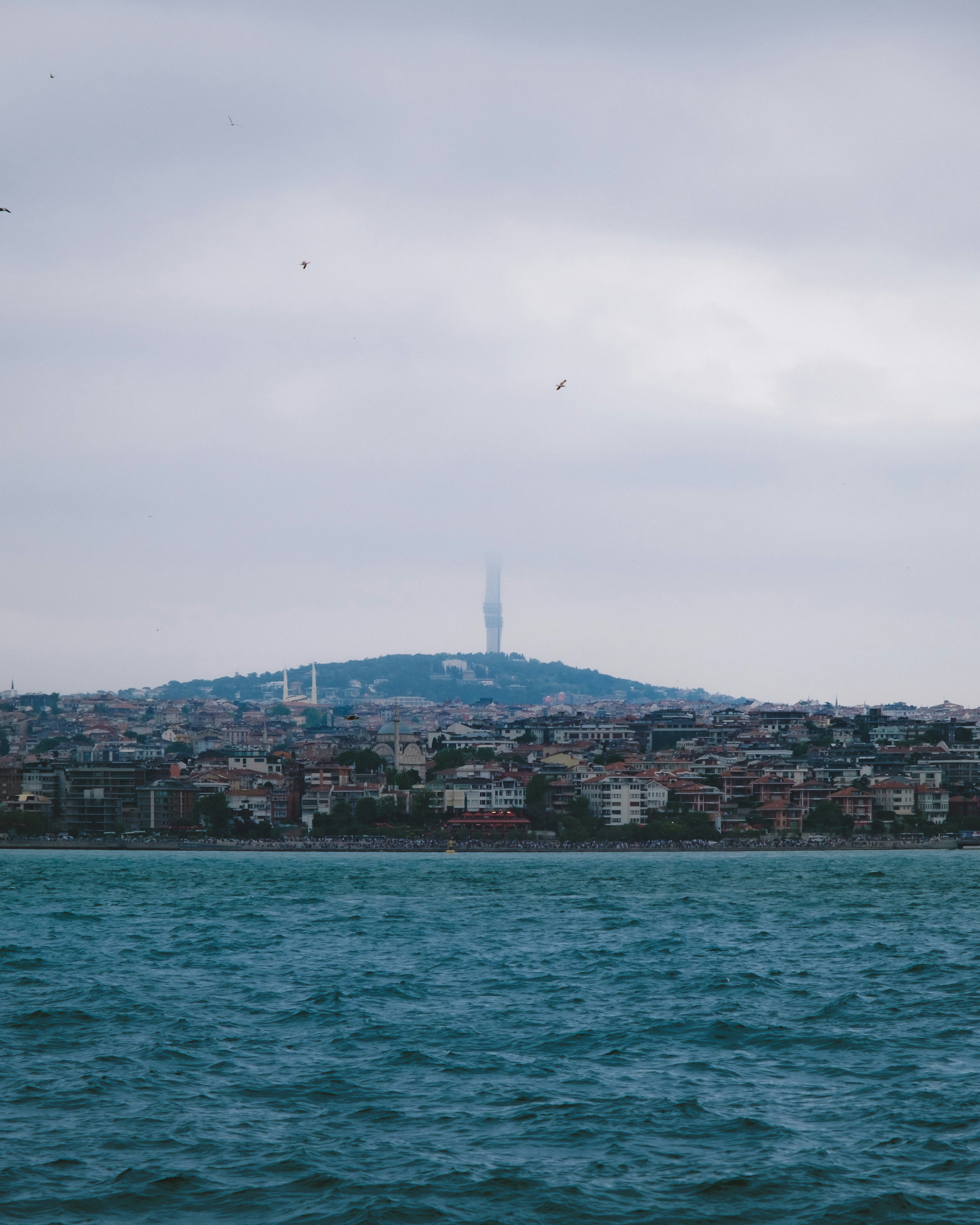 Coastal City silhouette under a veiled sky