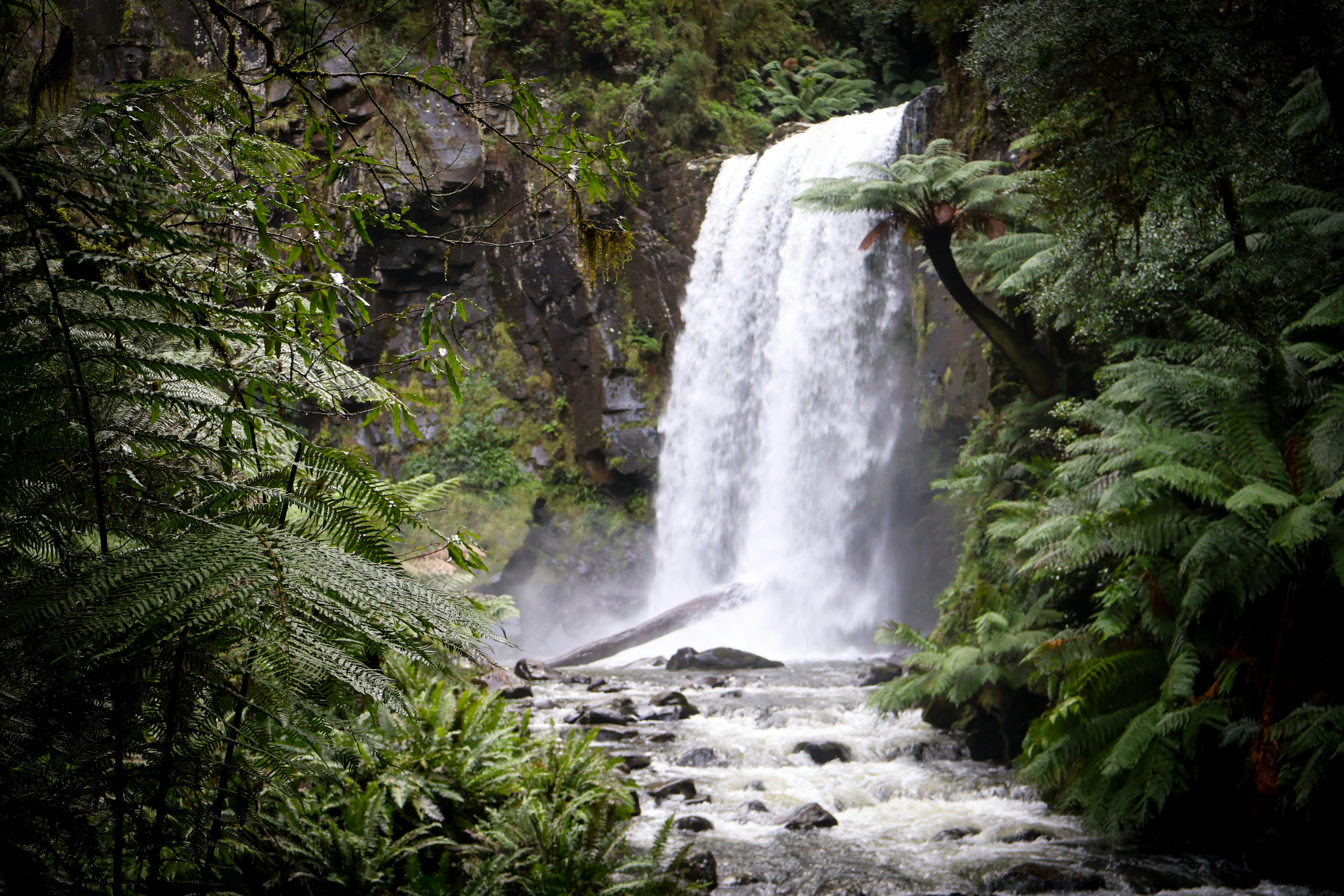 Hidden Cascade in a Lush Green Gorge