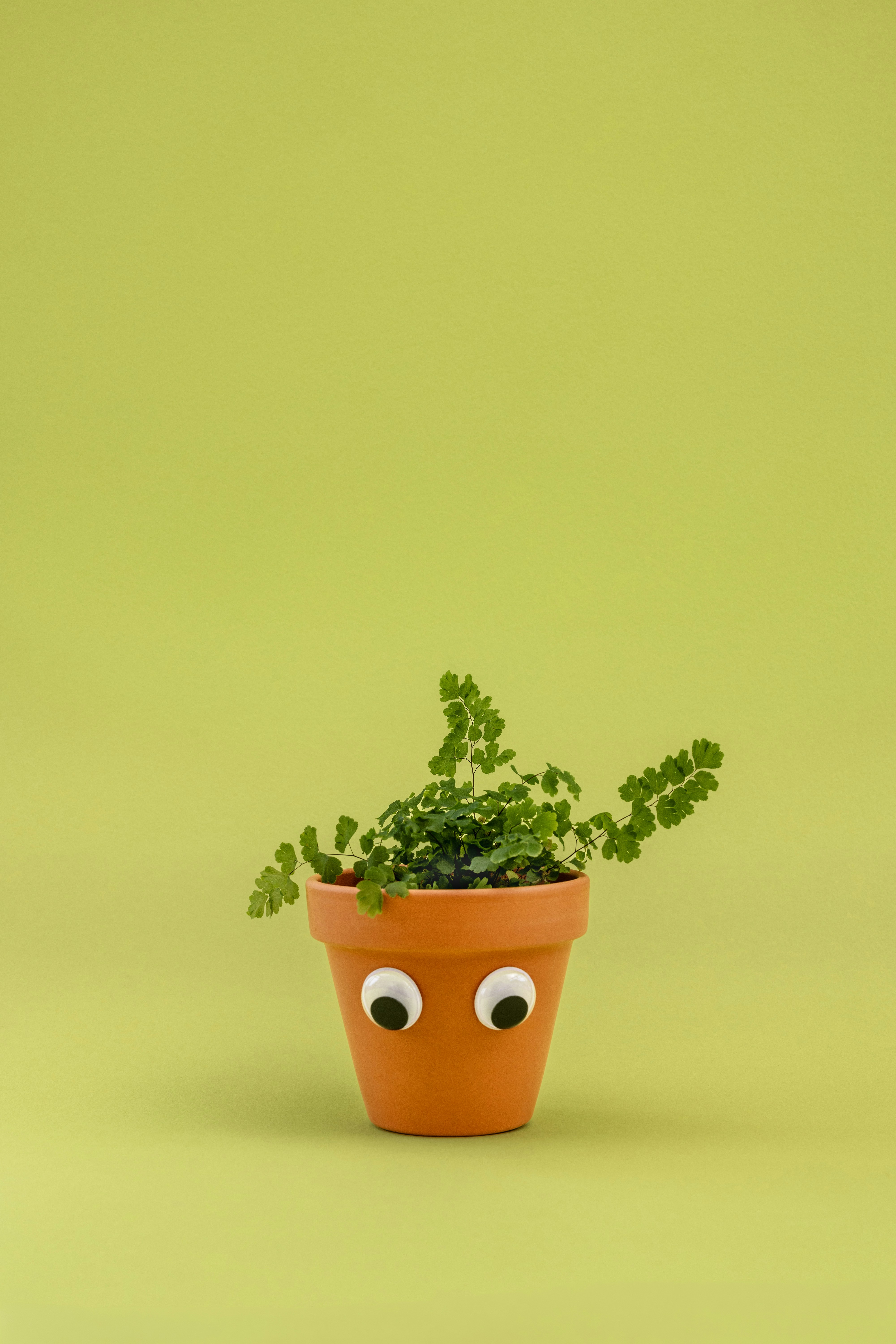 Happy Herb: A Playful Pot with Wide-Eyed Character