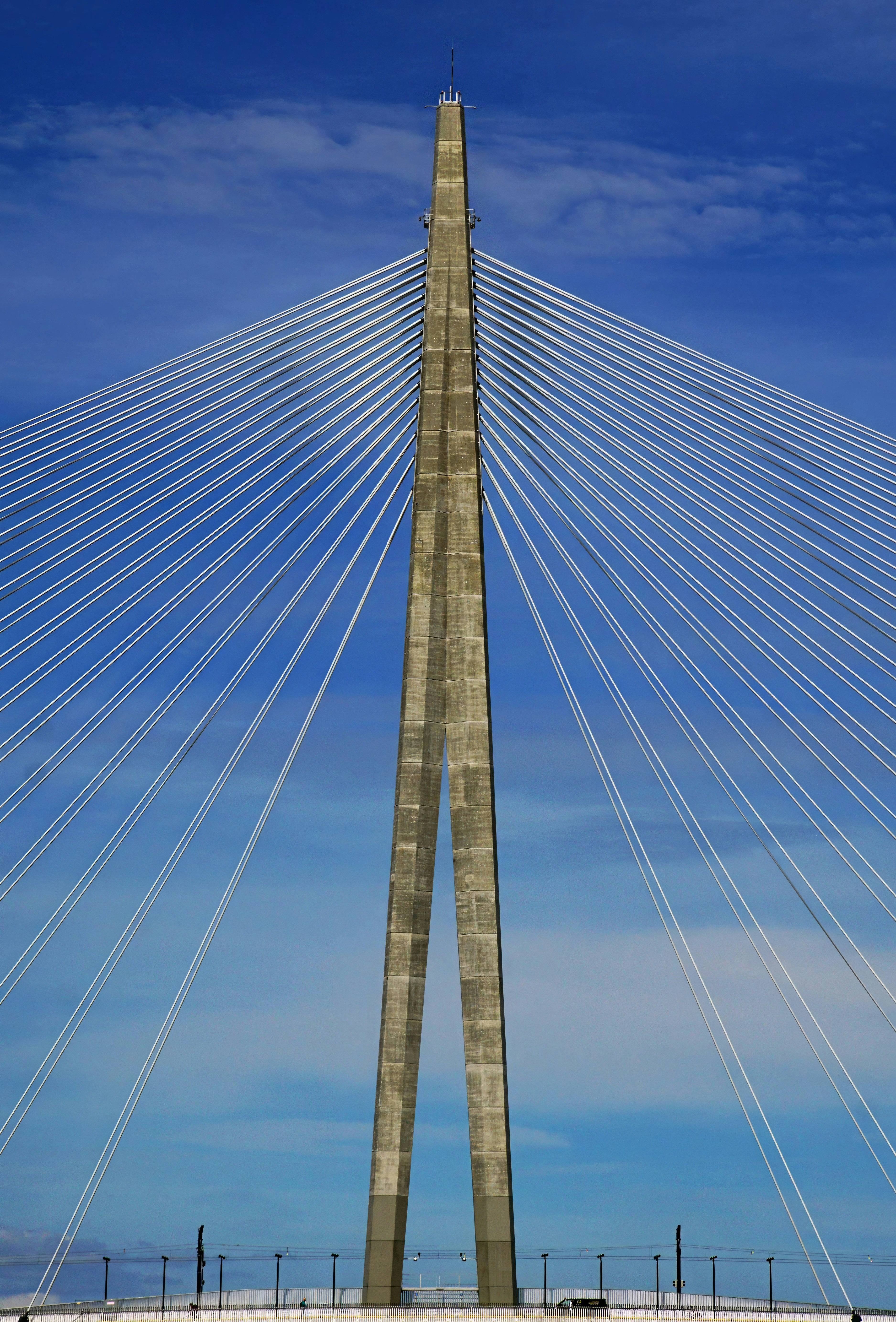 Pylon Portrait: A Cable-Stayed Spine Reaches Toward the Sky