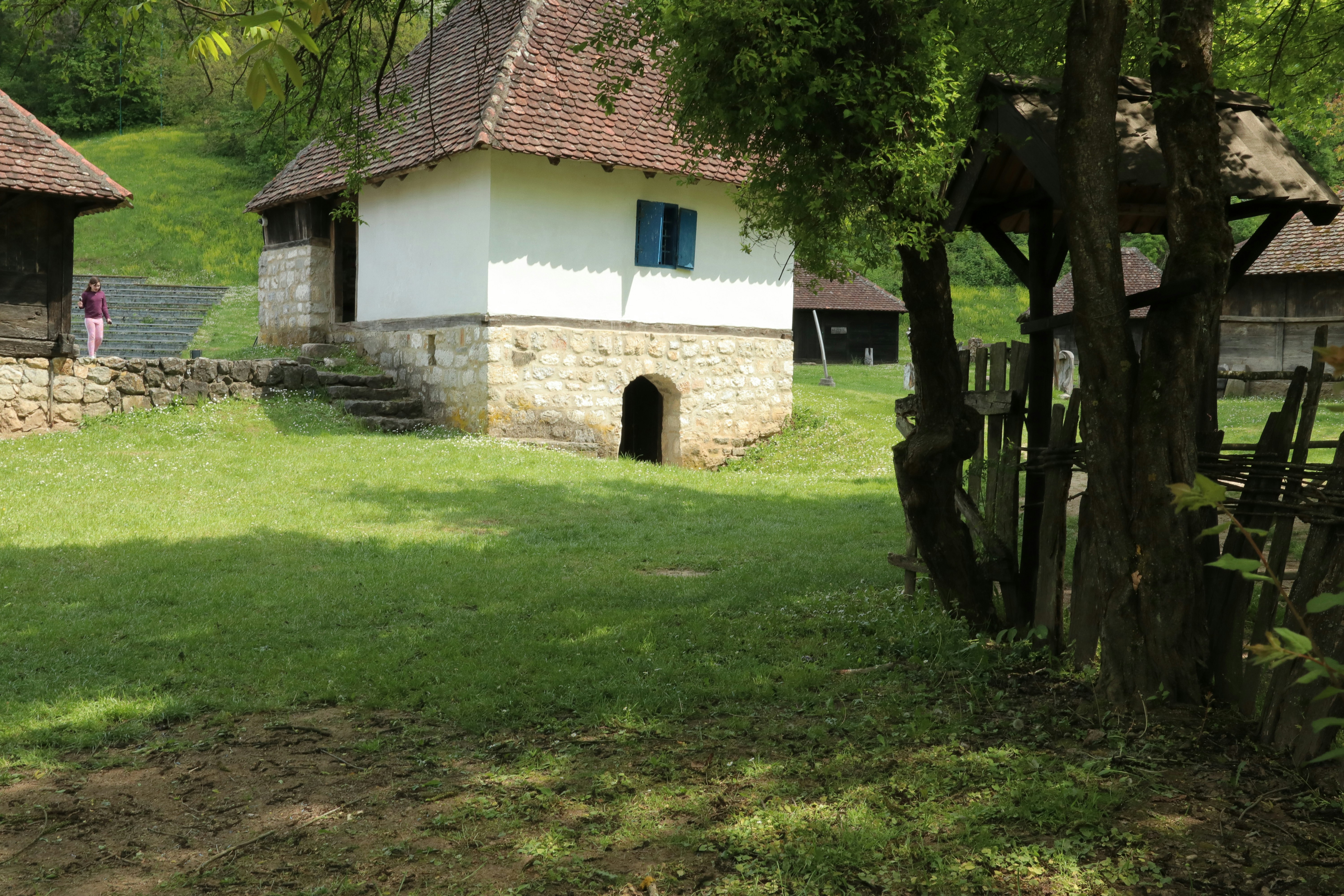 Thatched Roof Barn and White Farmhouse in Sunlit Clearing