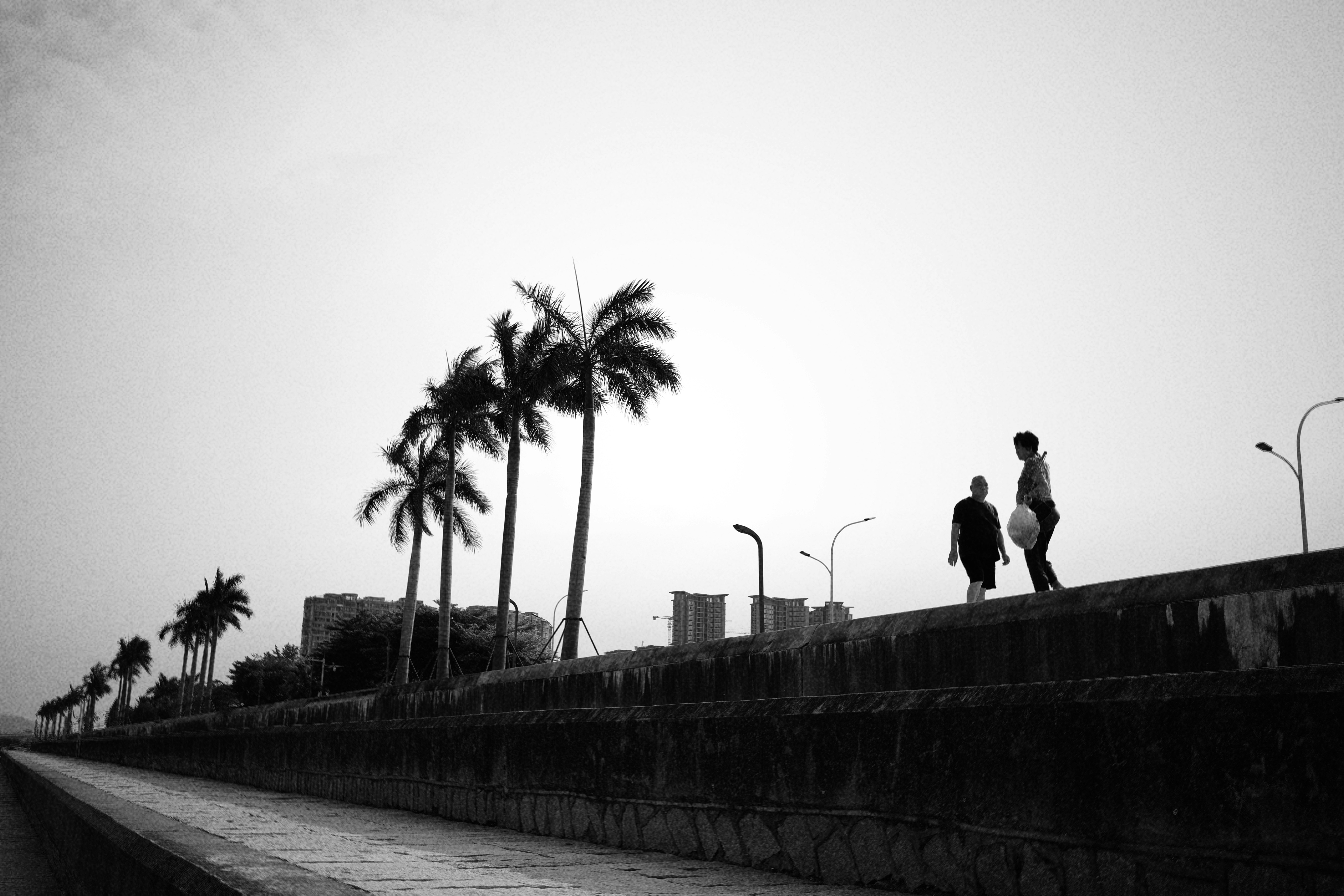 Silhouette on the Causeway: Palm-Line Edge and Two Figures at Dusk