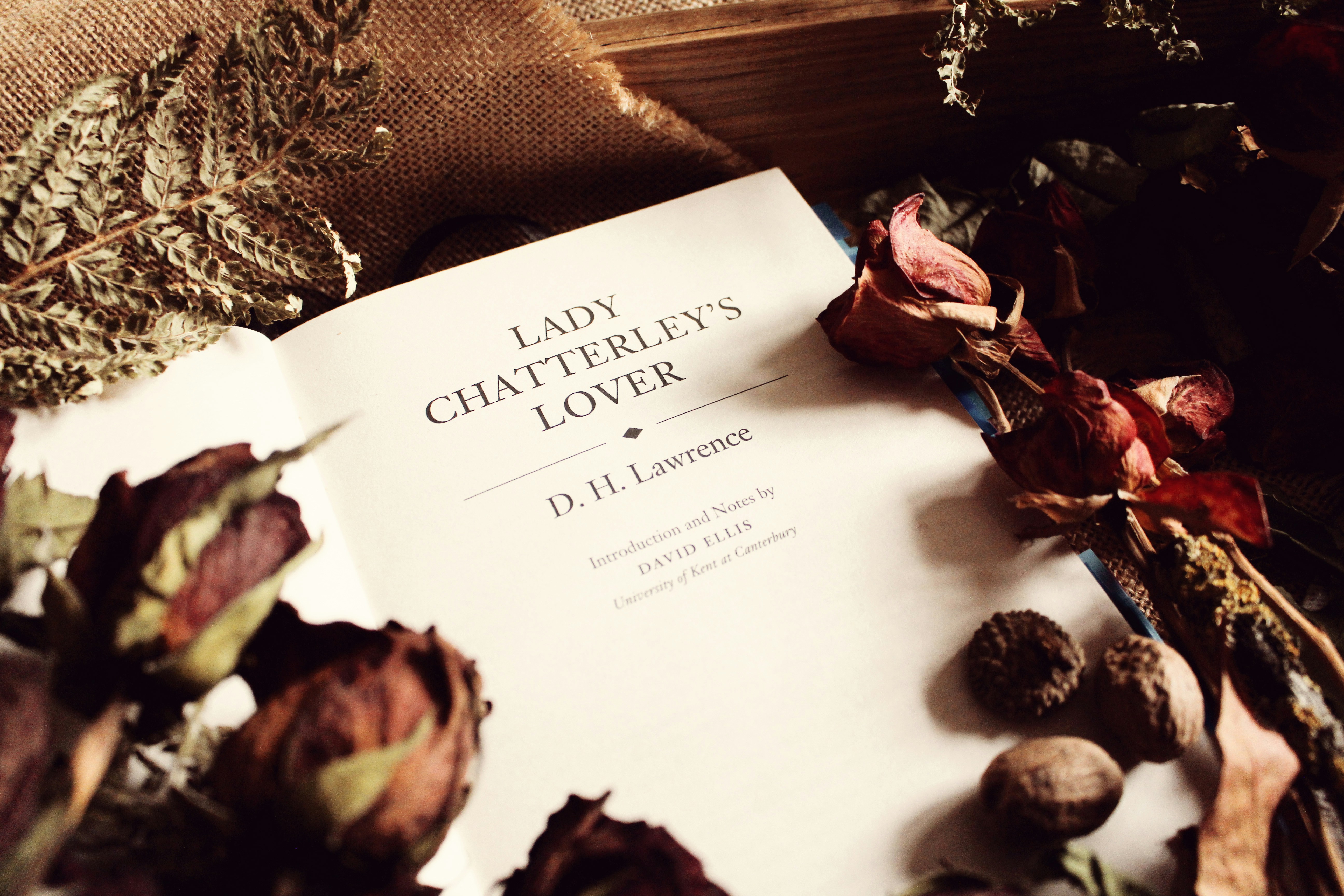 Whispered Pages: A Garden of Dried Florals Nesting with a Book