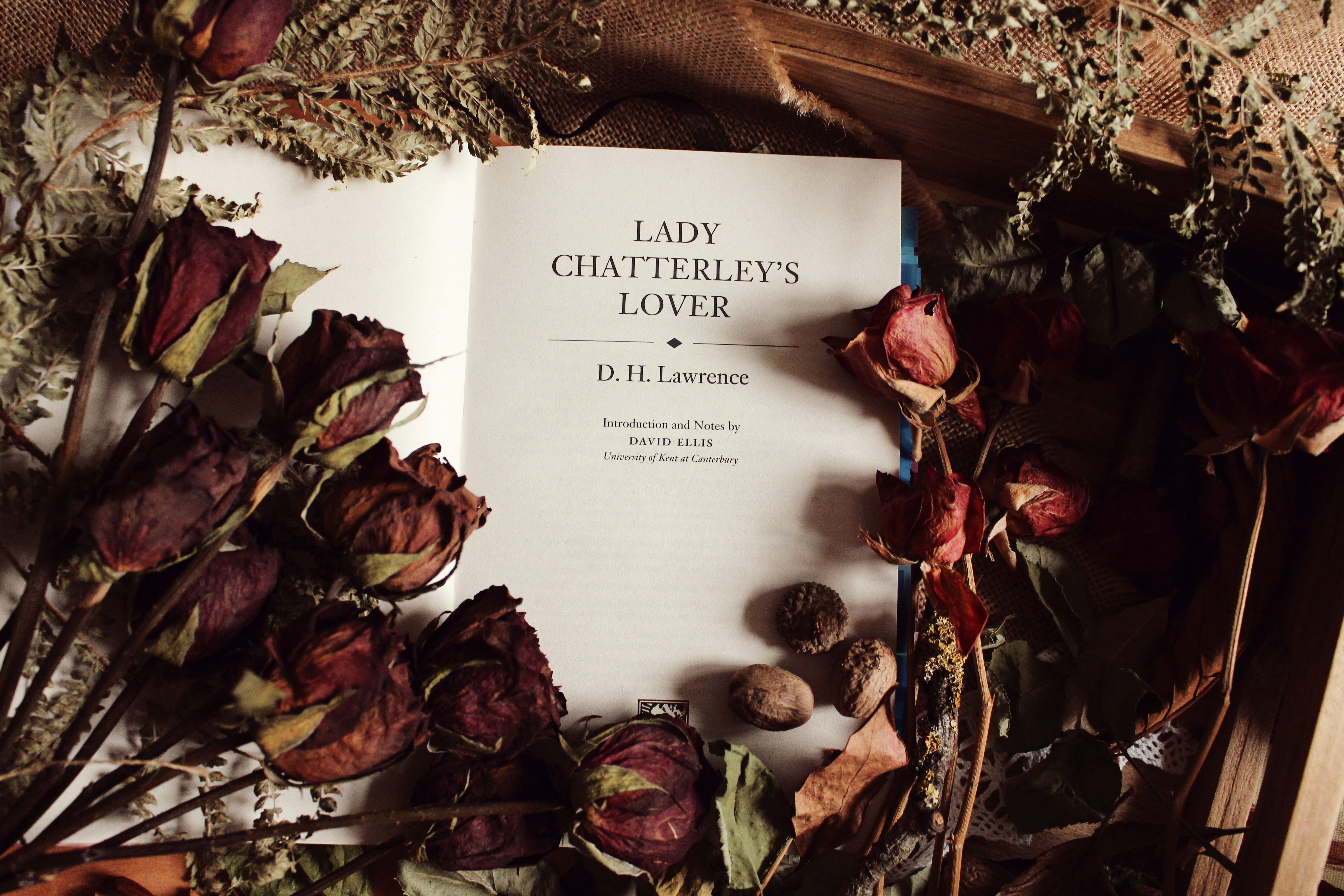 Whispering Pages: A Dried Bouquet Framing a Vintage Tale