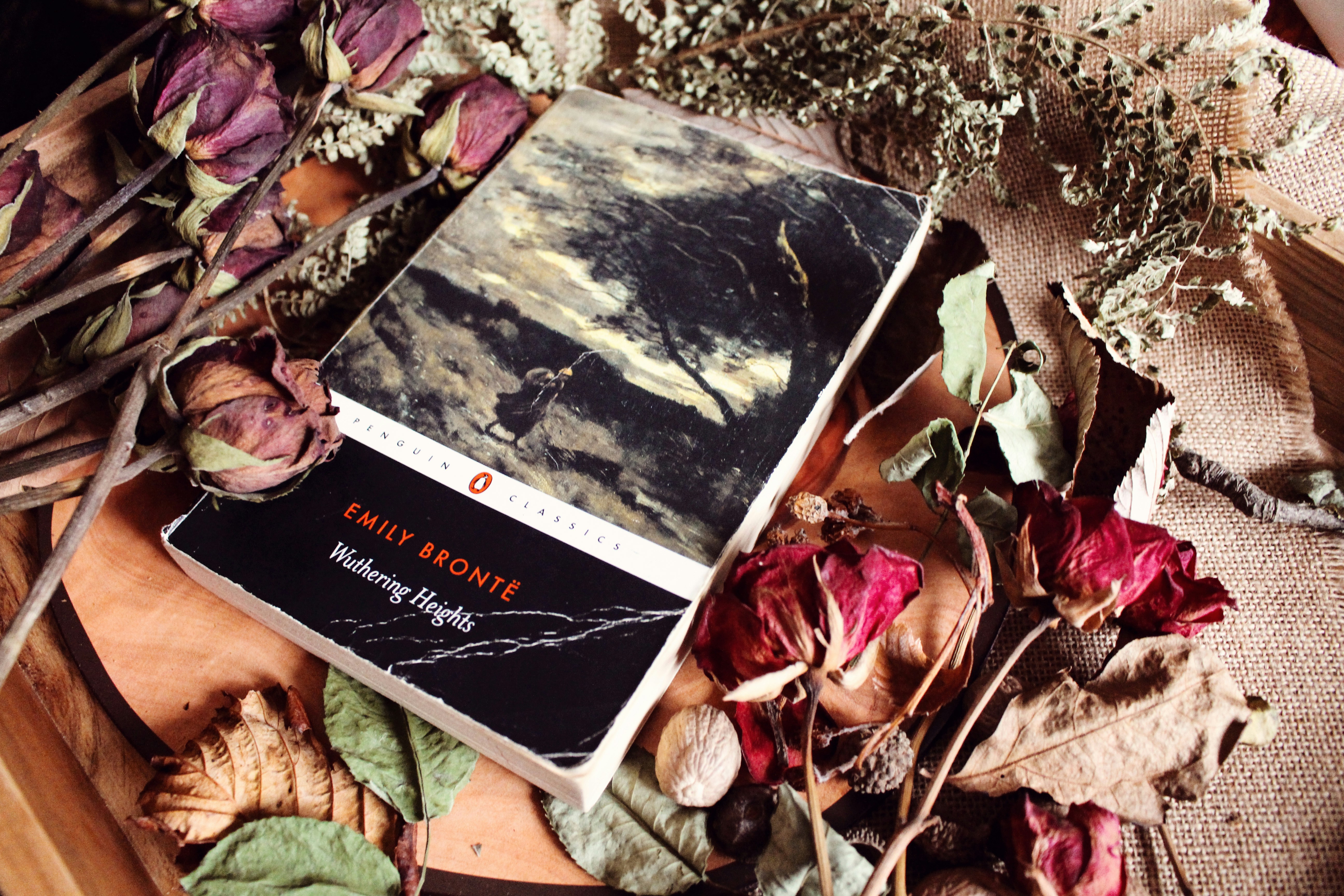 Whispers of Autumn: A Weathered Novel Among Dried Florals