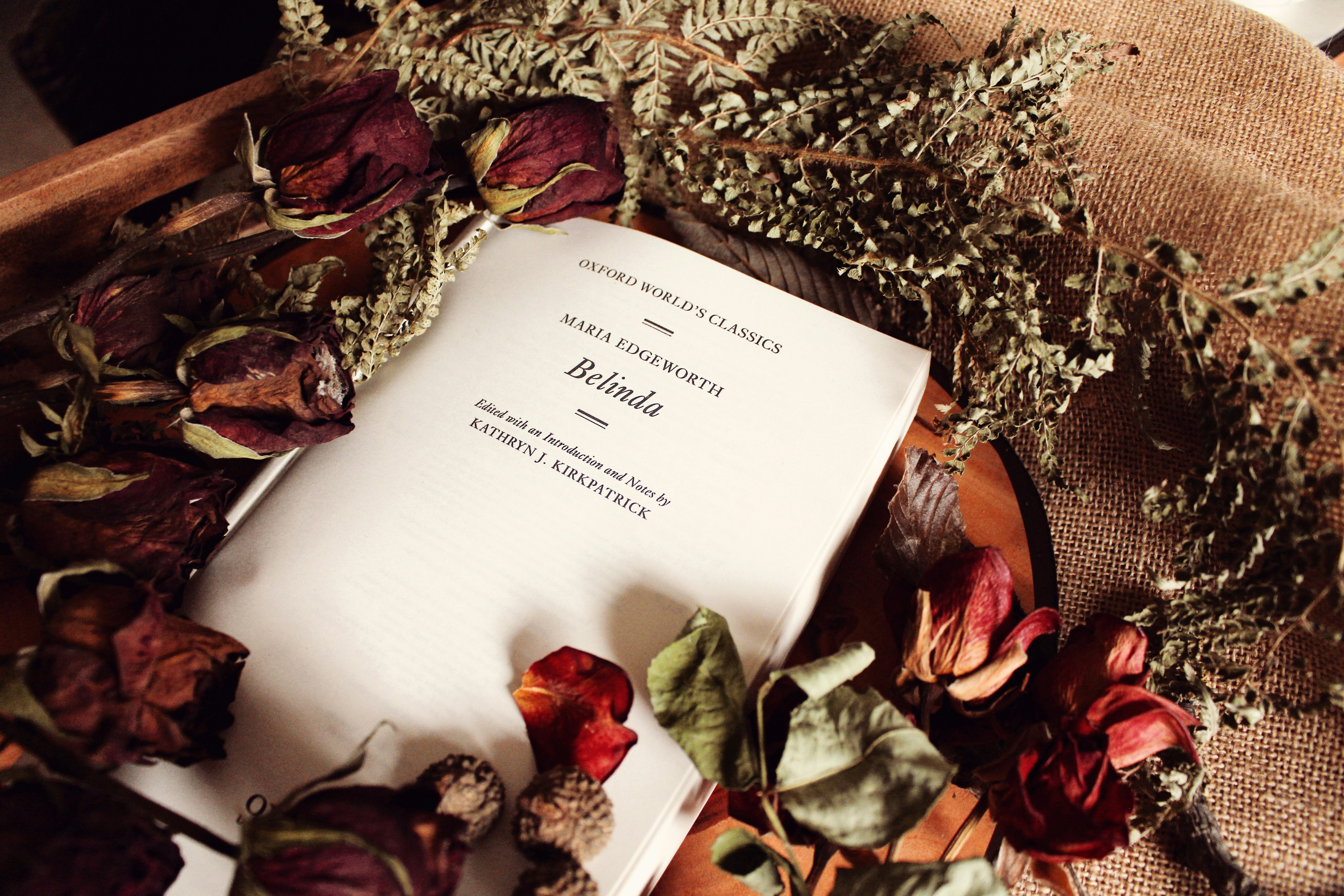 Petals, Page, and Quiet Light
