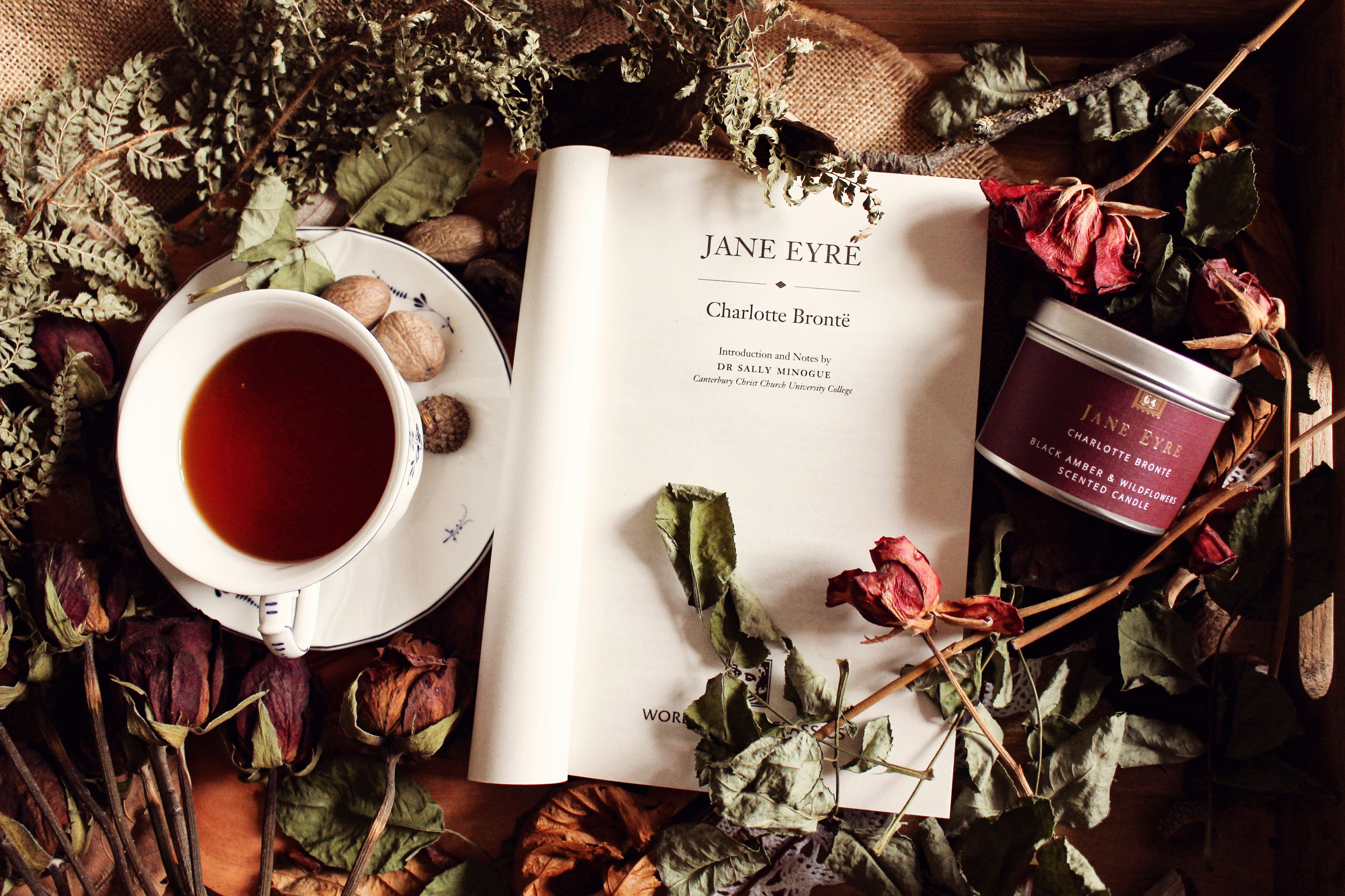 Herbal Quiet: A Cup, A Book, and Fallen Leaves