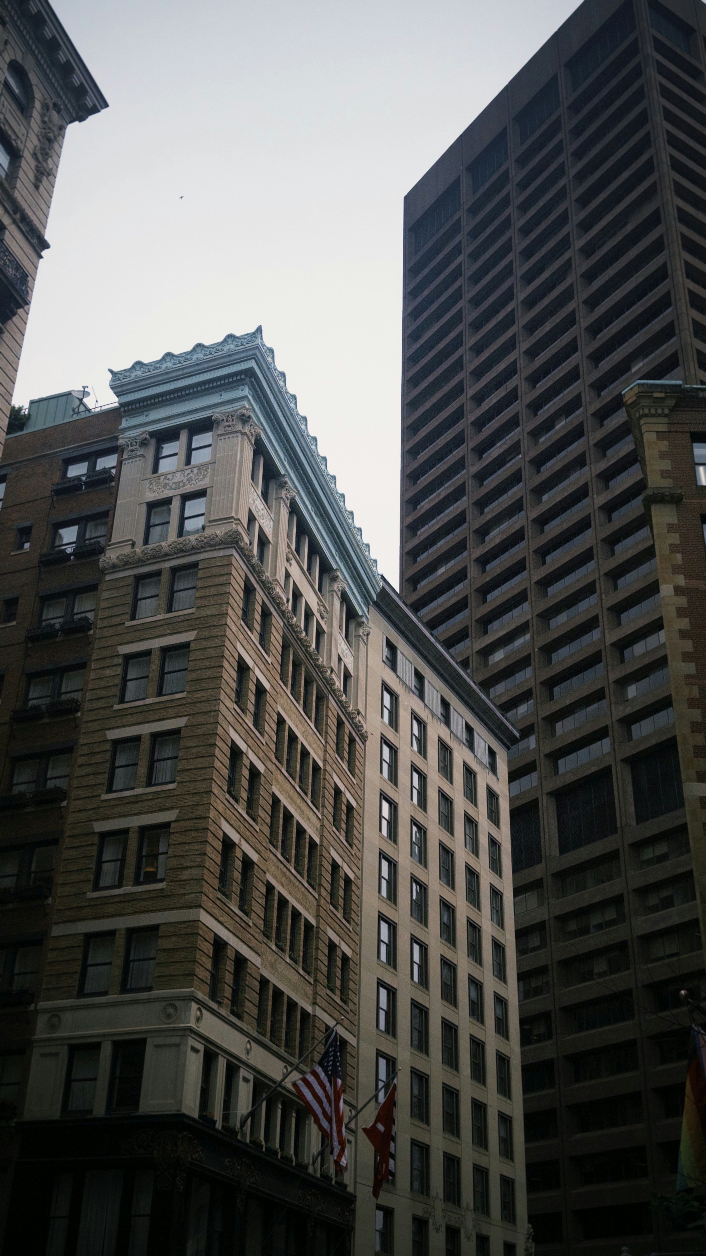 Streetside Convergence: Historic Facades Between Giants