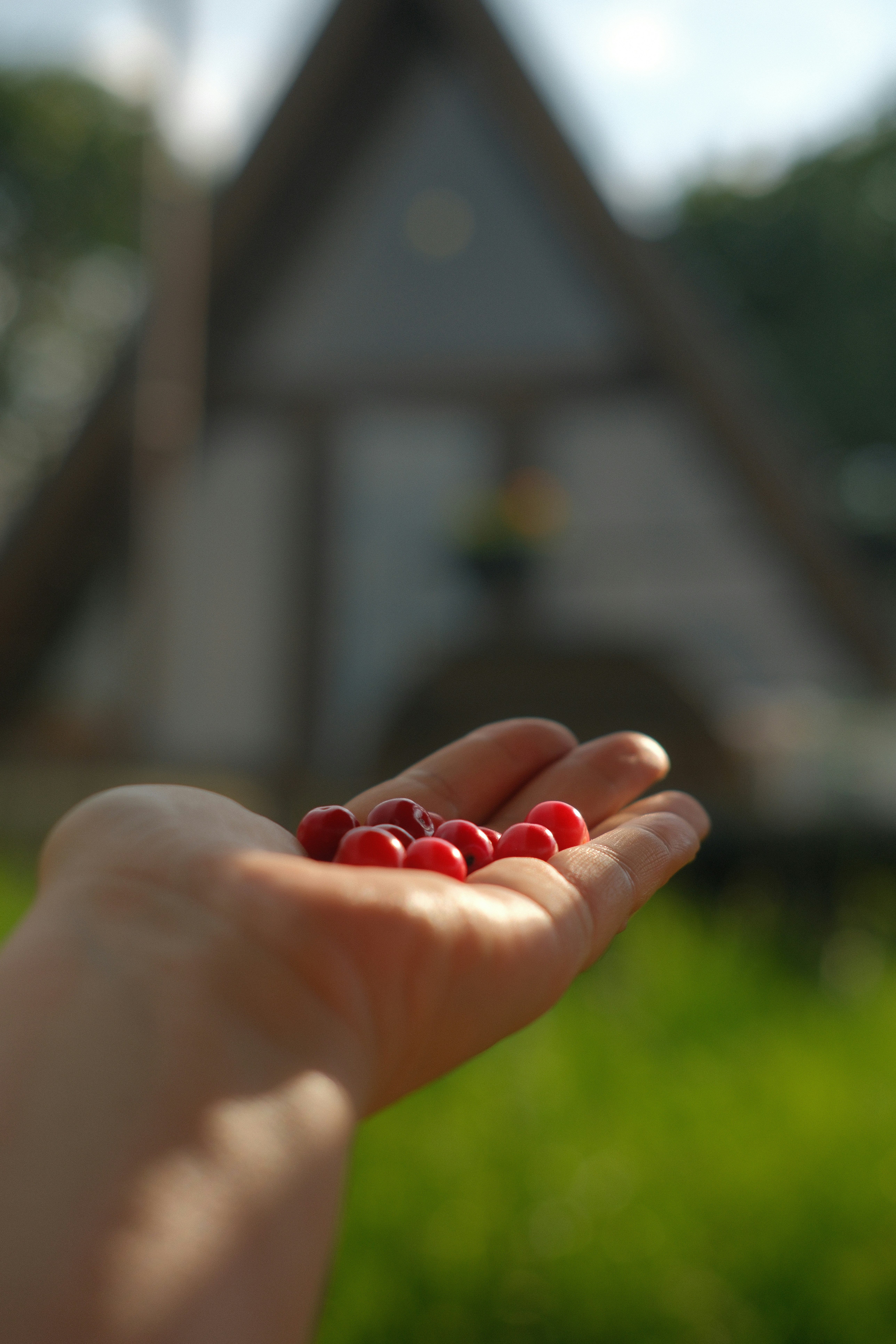 Handful of Crinkled Berries: A Quiet Moment in the Garden