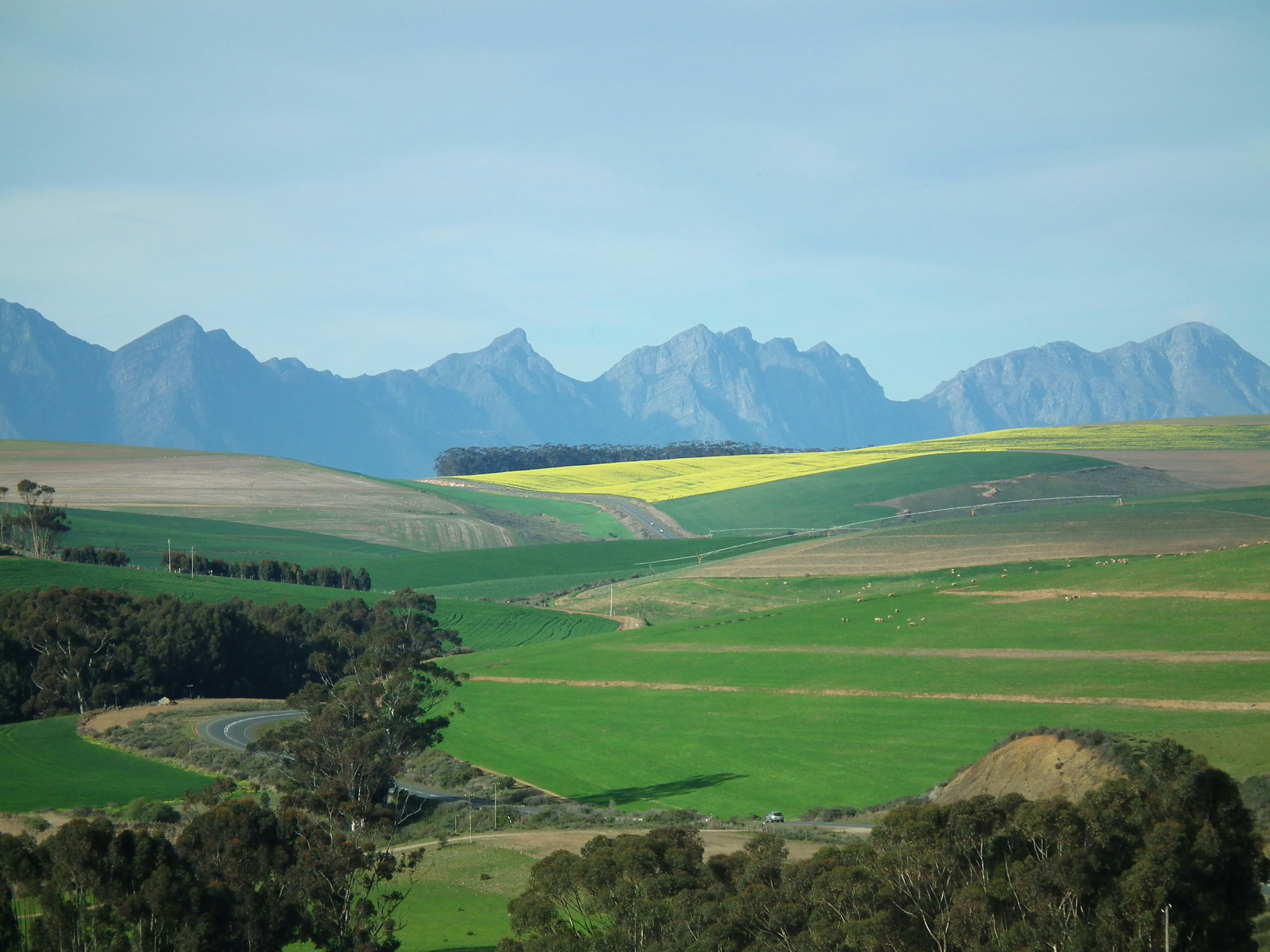 Rolling Hills Under a Clear Sky with Distant Mountain Range