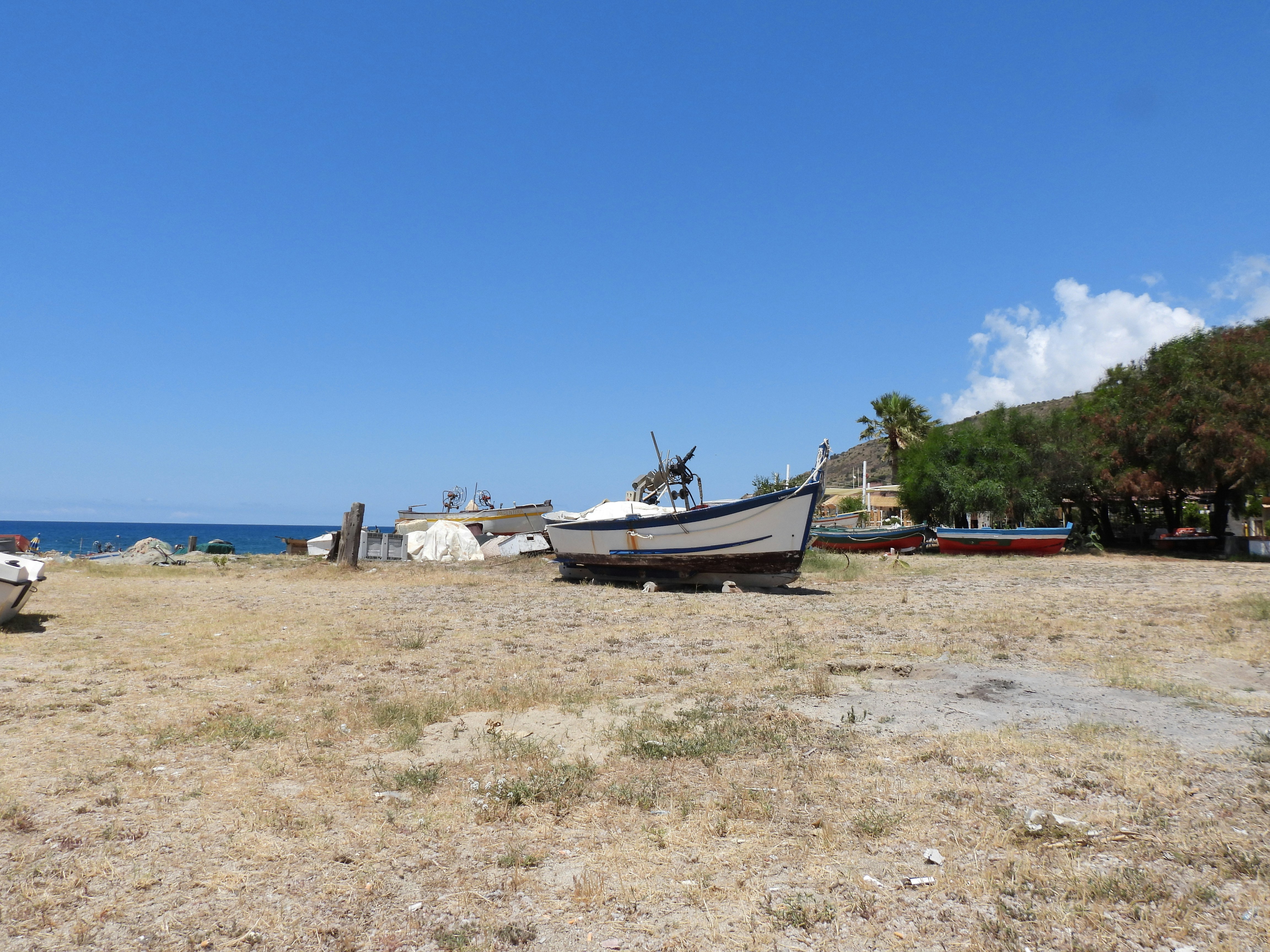 Weathered boat on sunlit coast with distant sea and trees