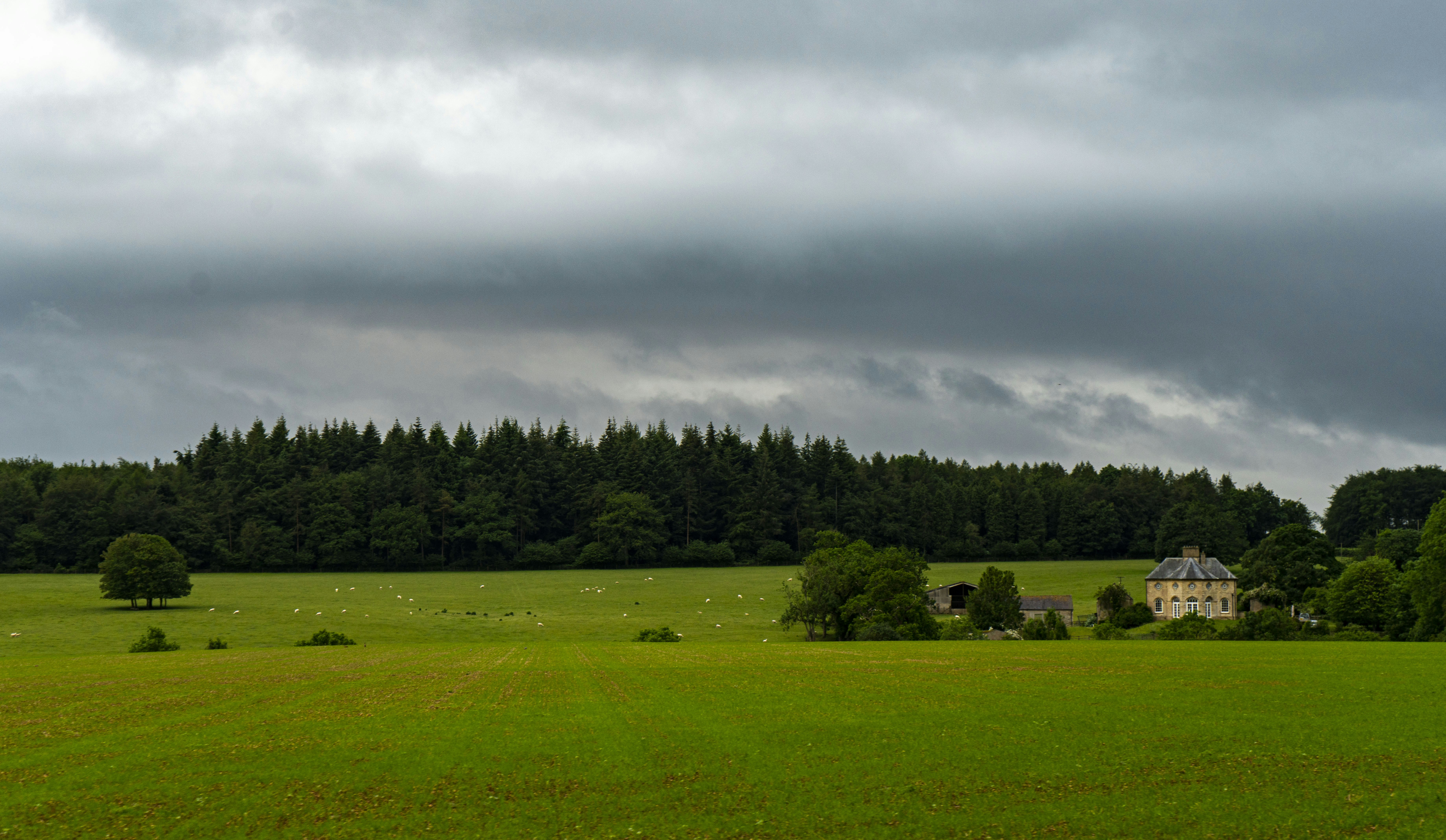 Pastoral Vista Under a Brooding Sky