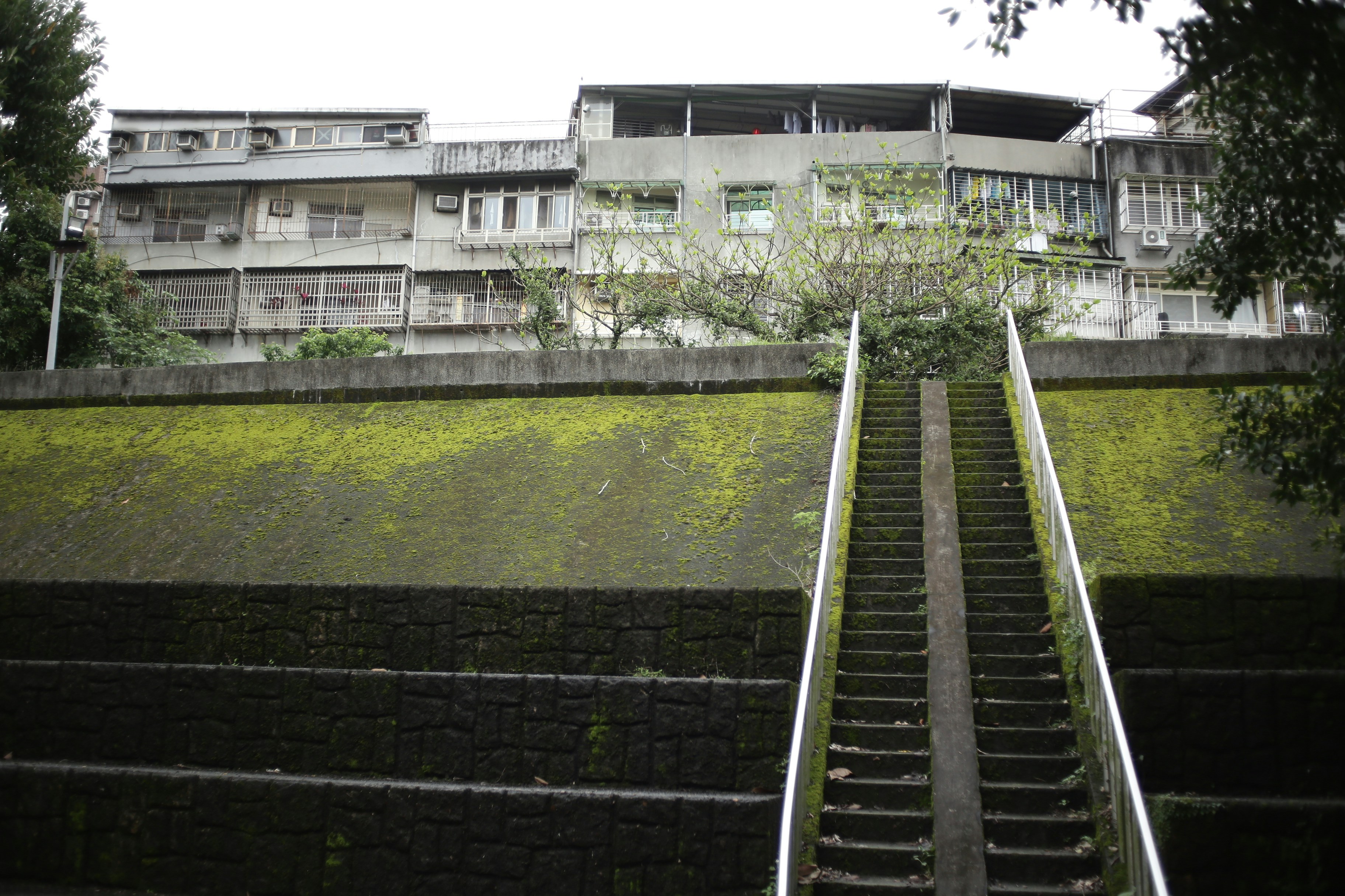 Moss-Cwept Staircase: A Quiet Ascent Beneath a Weathered Facade