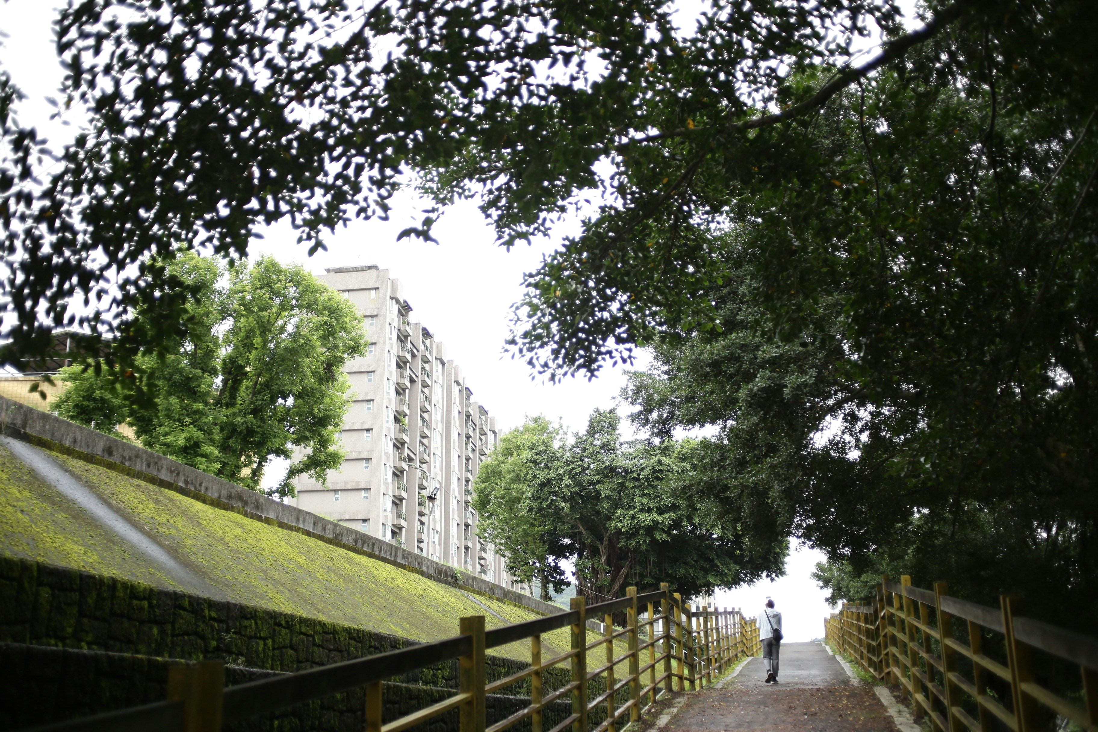 Pathway to Daylight: A Lone Figure on the Riverside Walk
