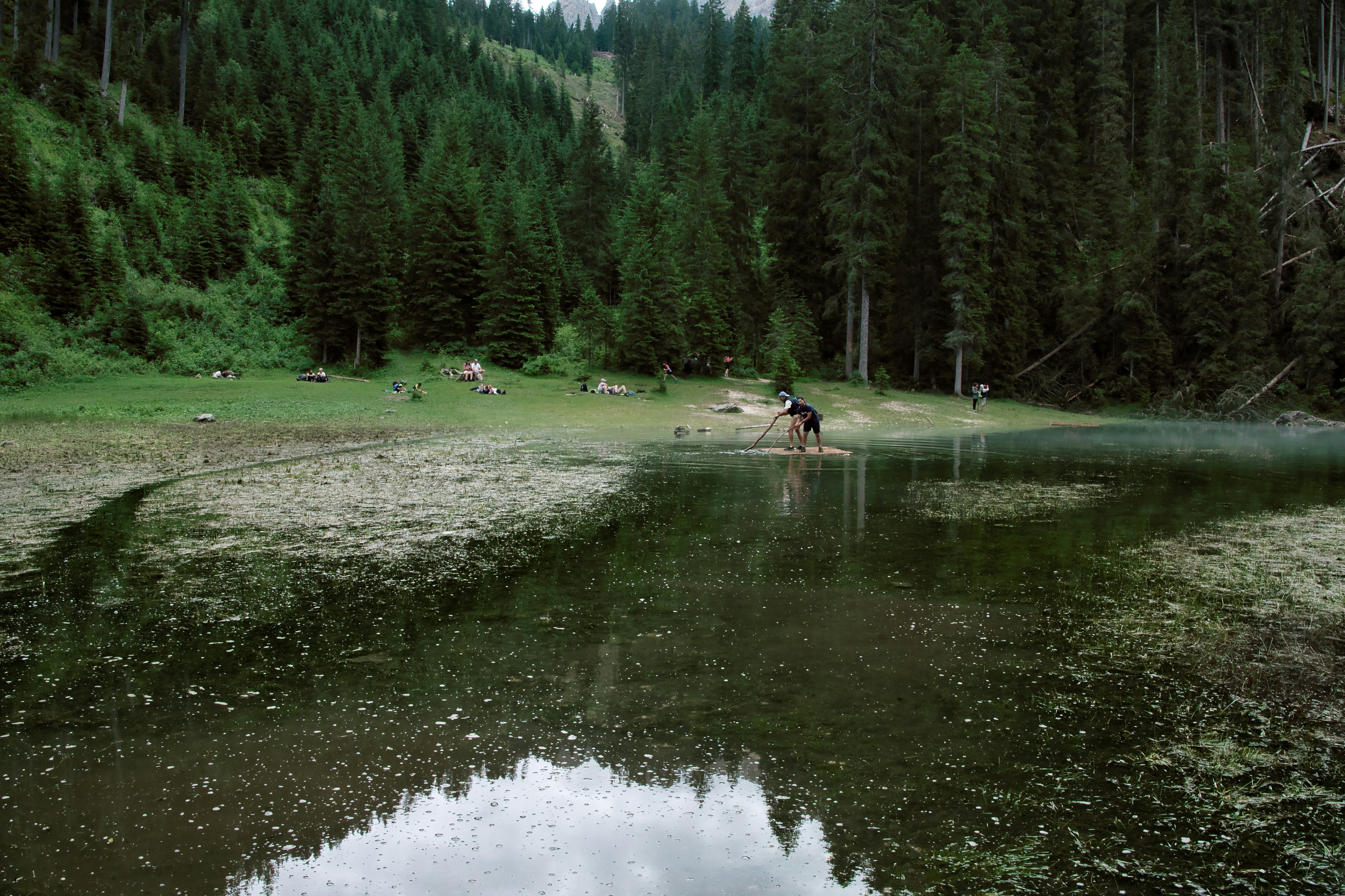 Majestic Lake Clearing: Horses and Herd in a Forest Rim