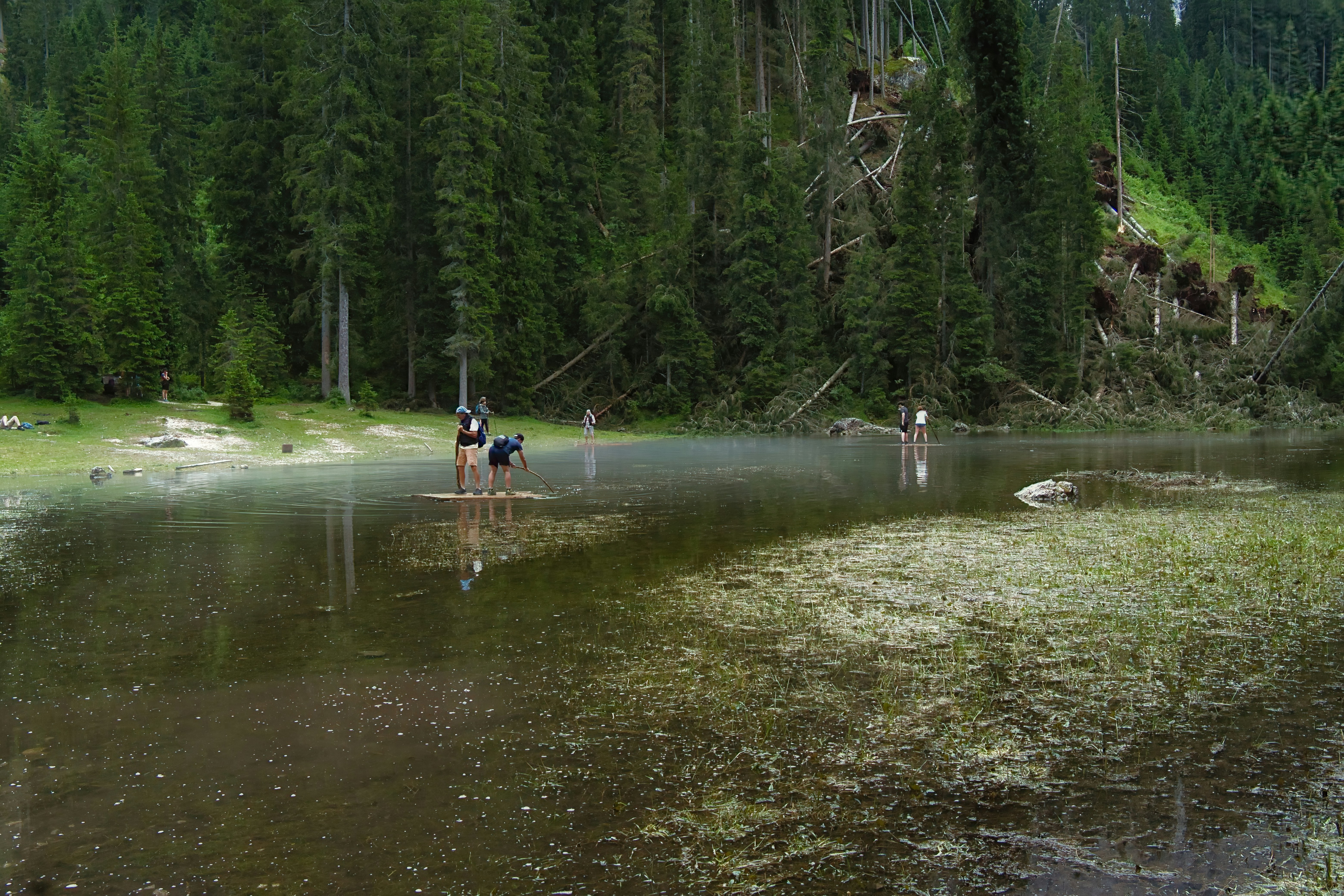 Family by the Meadowed Waterhole under Forest Canopy