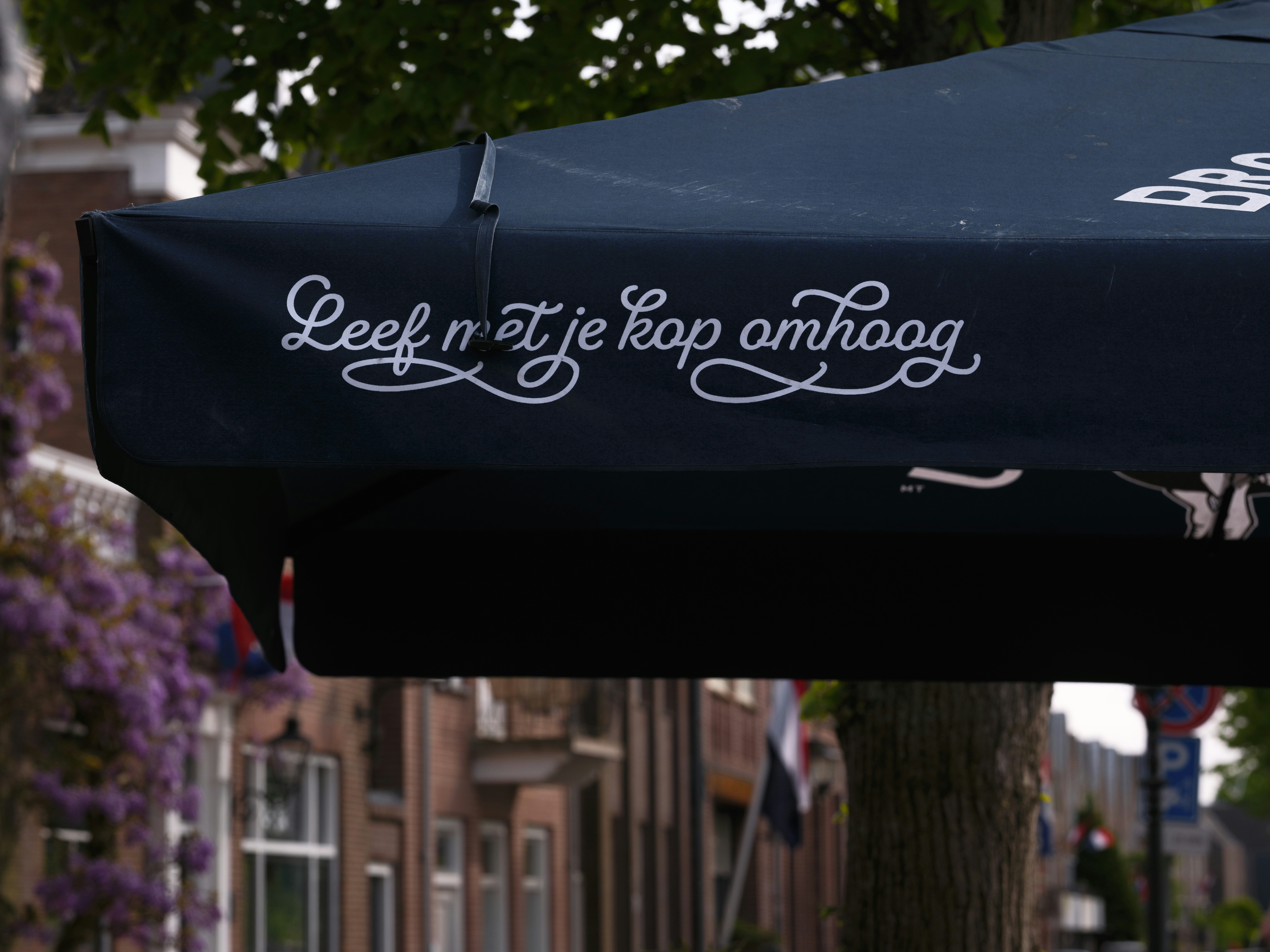 Under the Canopy: The Café Awning with Scripted Blessings