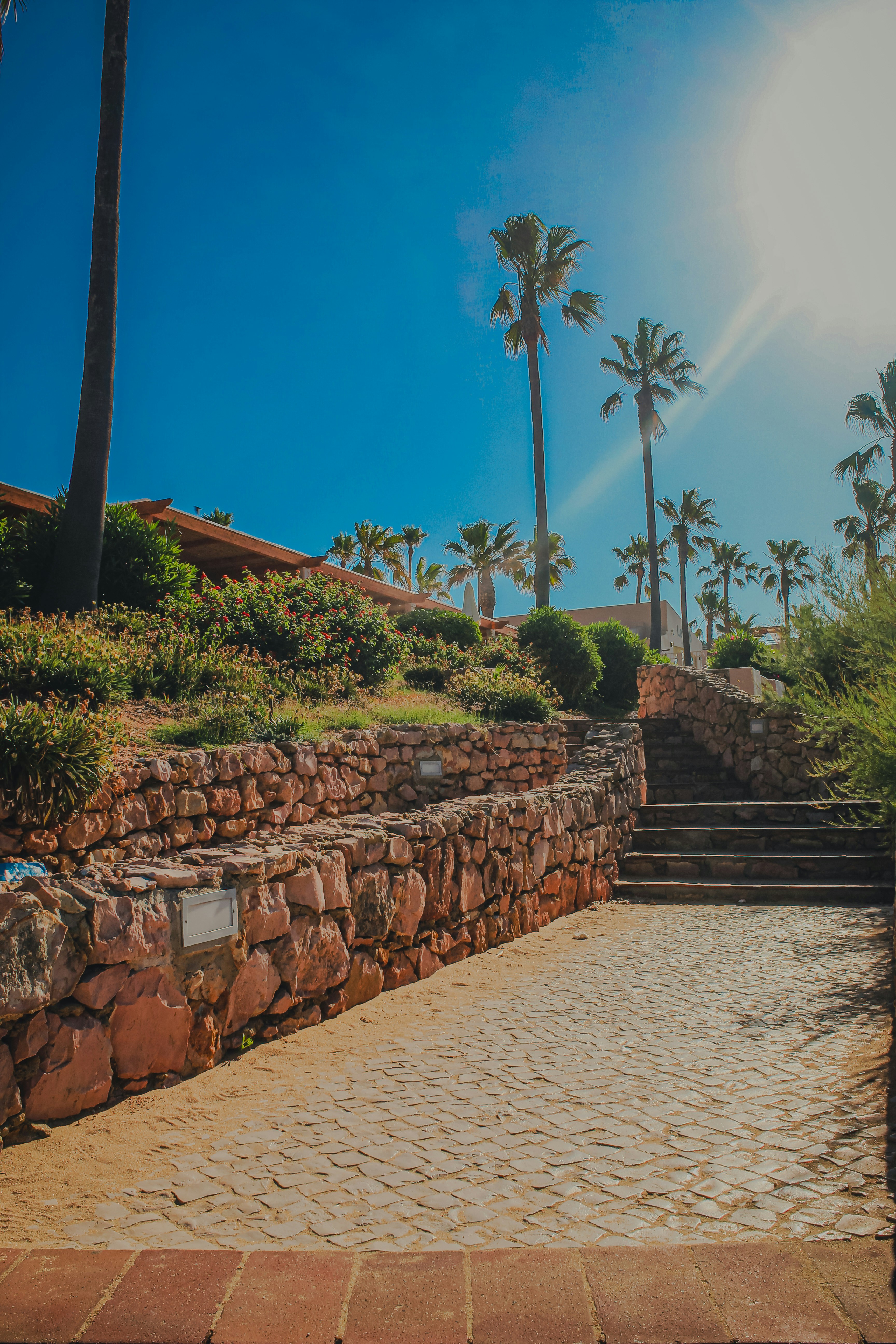 Sunlit Terrace with Palm Shadows and Stone Terraces