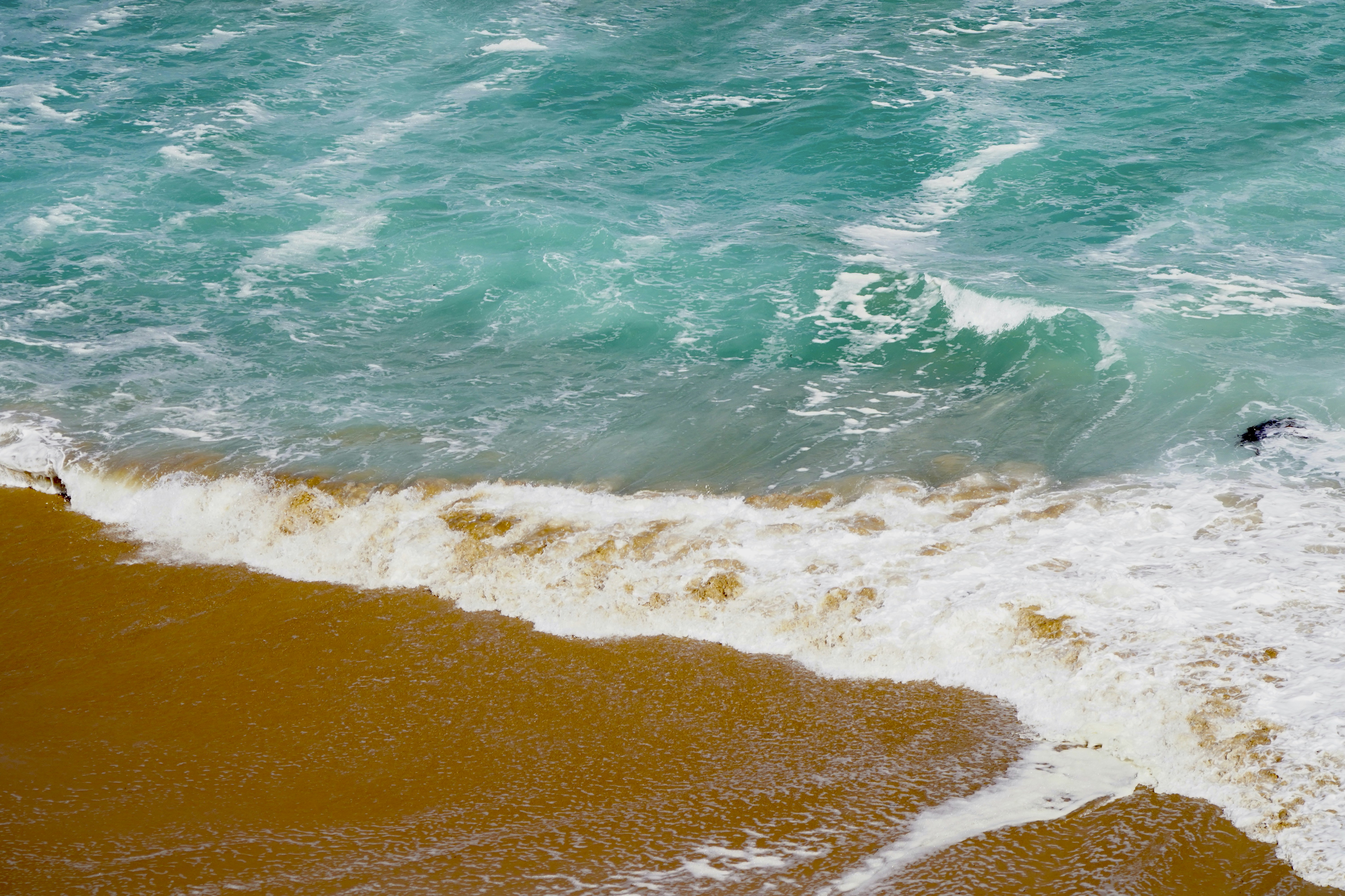 Turquoise Break: A Quiet Edge Where Sea Meets Sand