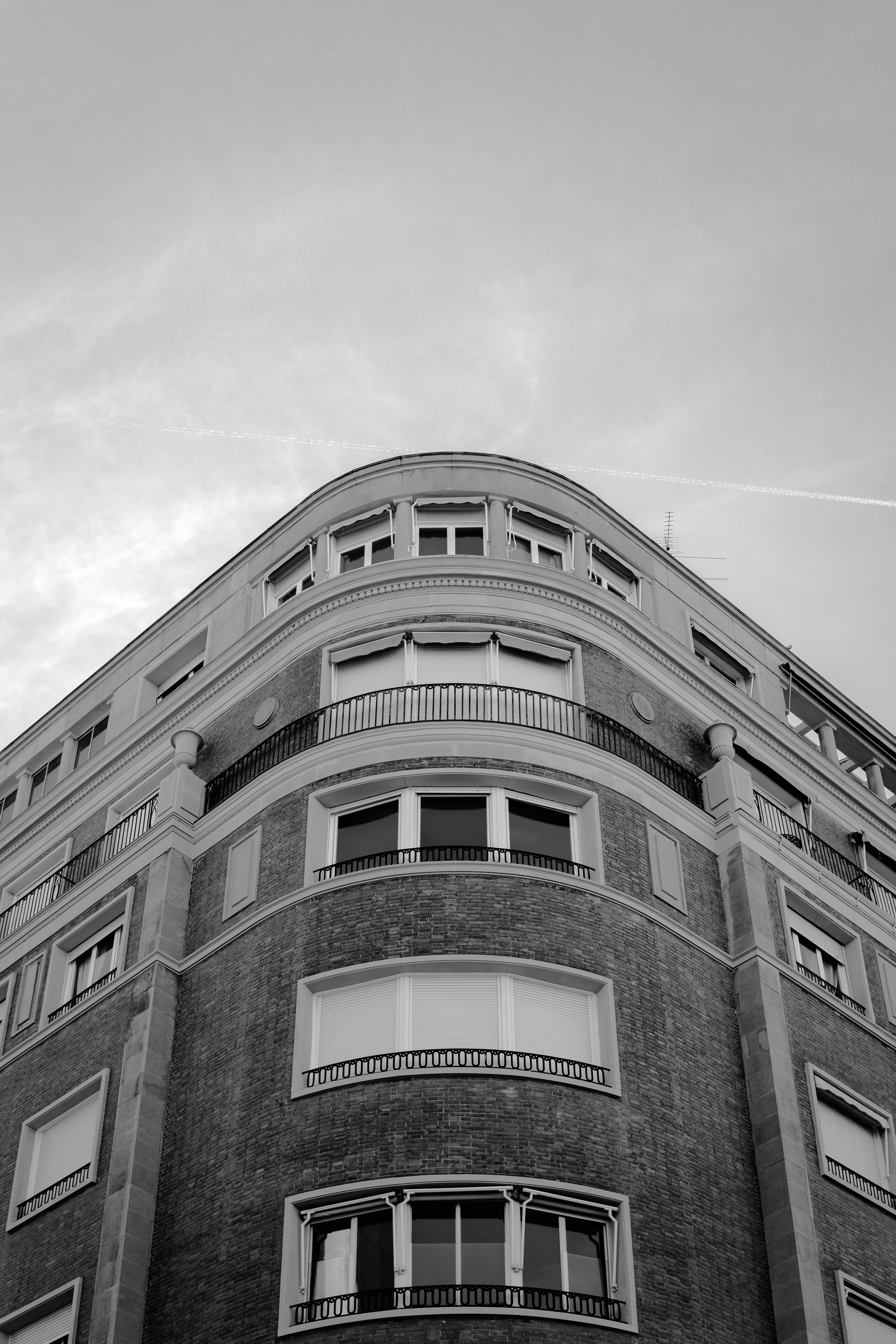 Corner Portrait: Curved Facade Ascending into the Sky