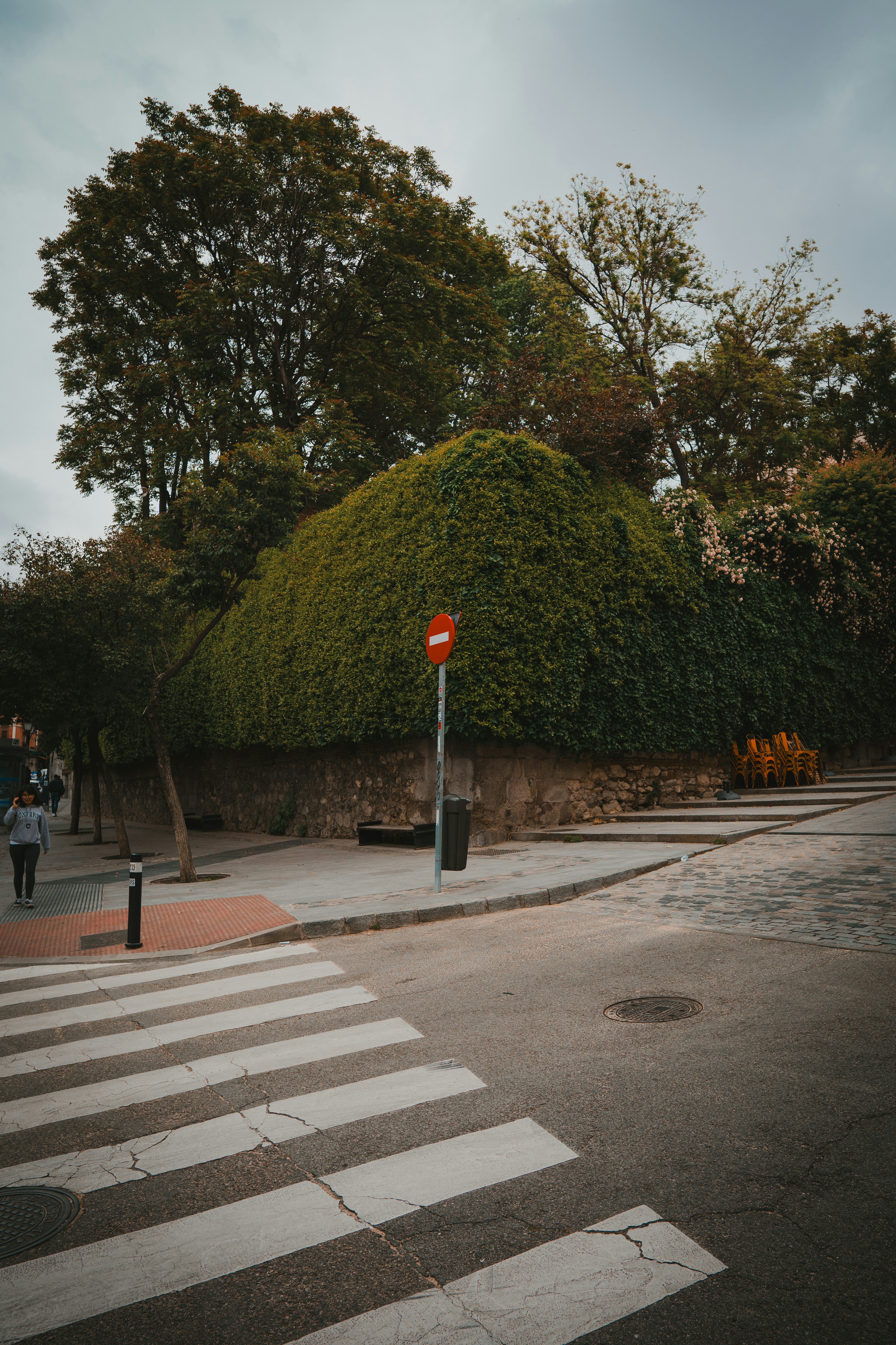 Urban Crossroads Under a Canopy of Greens