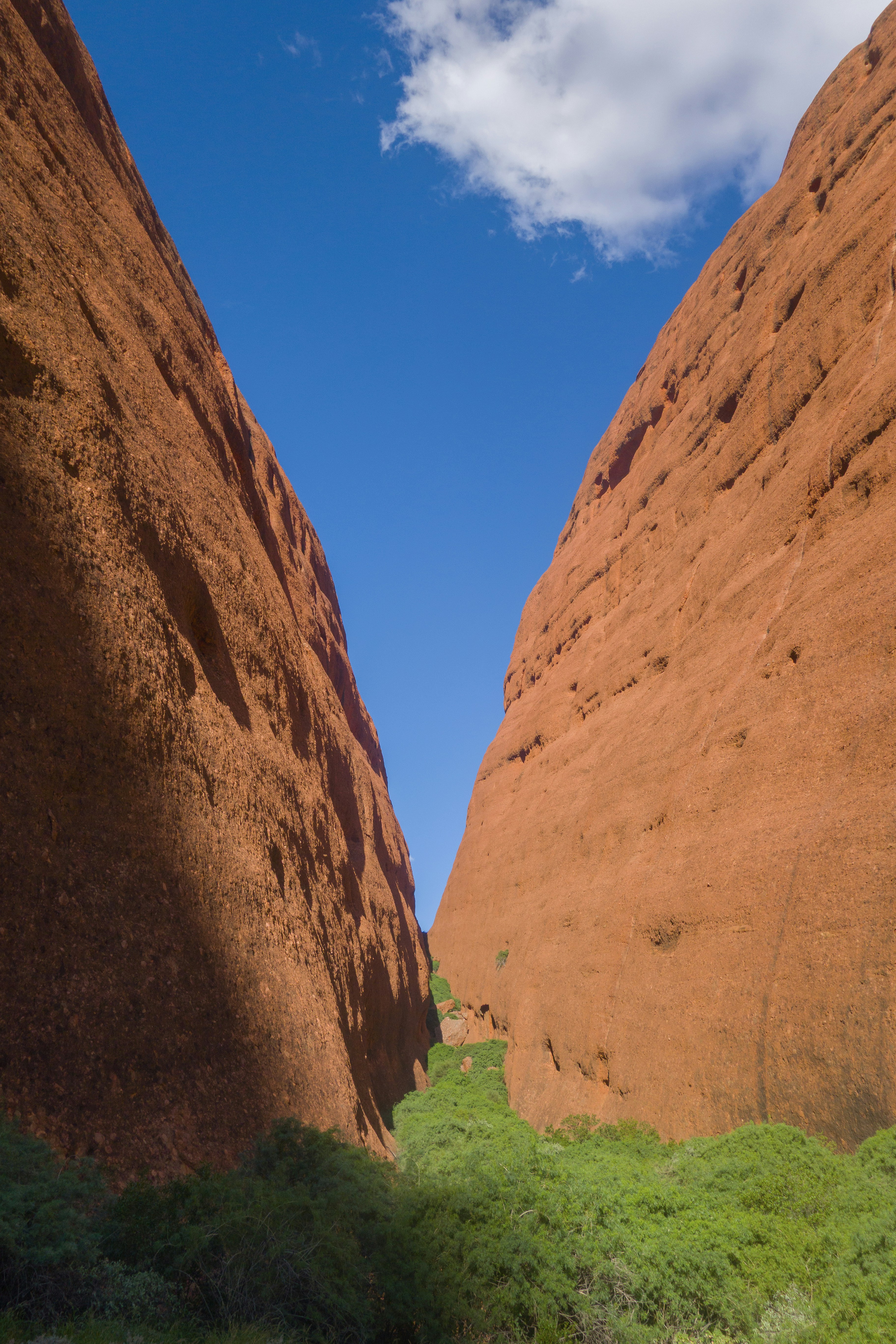 Red Canyon Gap: Green Valley Between Towering Red Cliffs