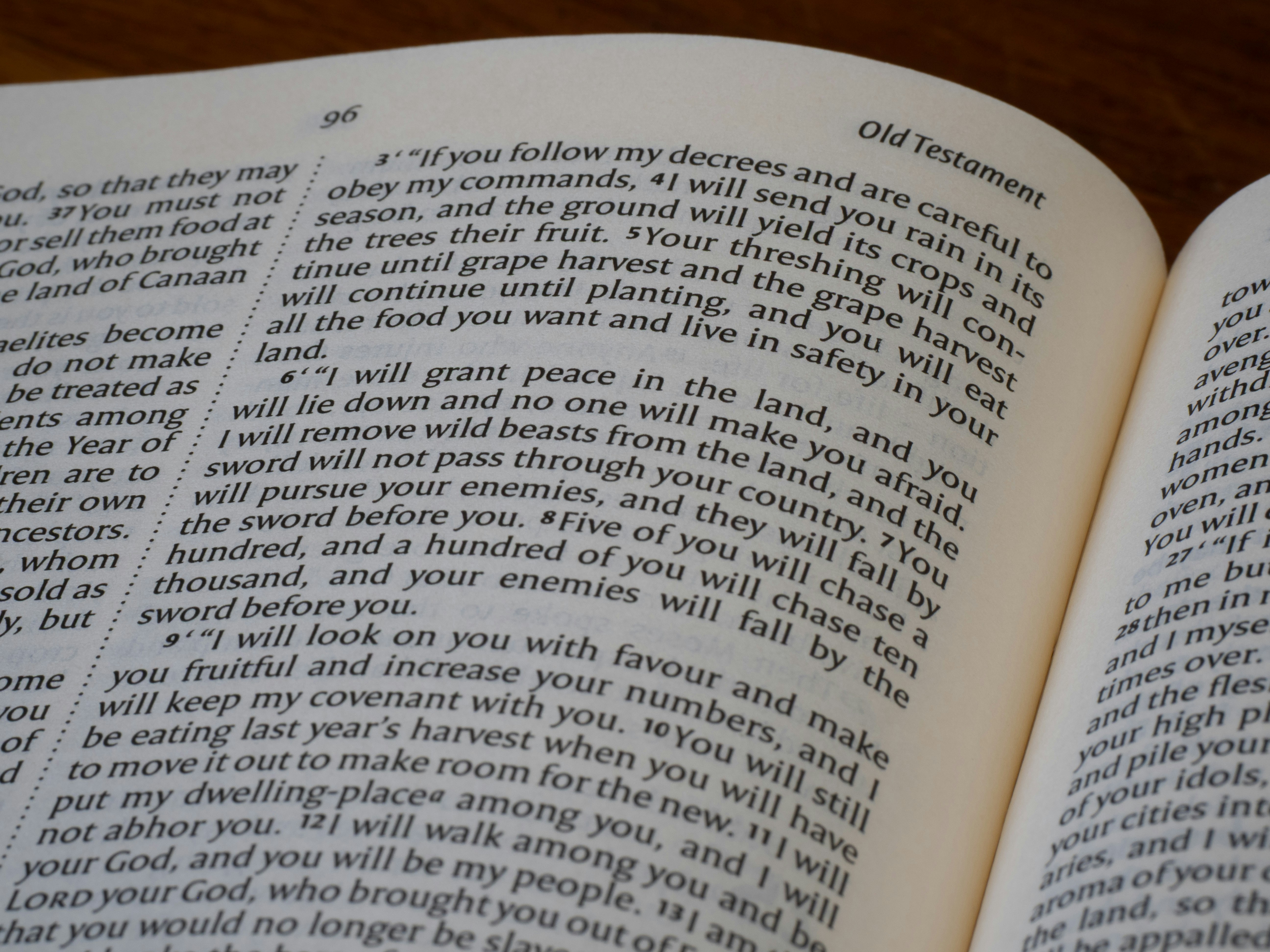 A Quiet Passage Through Scriptural Pages