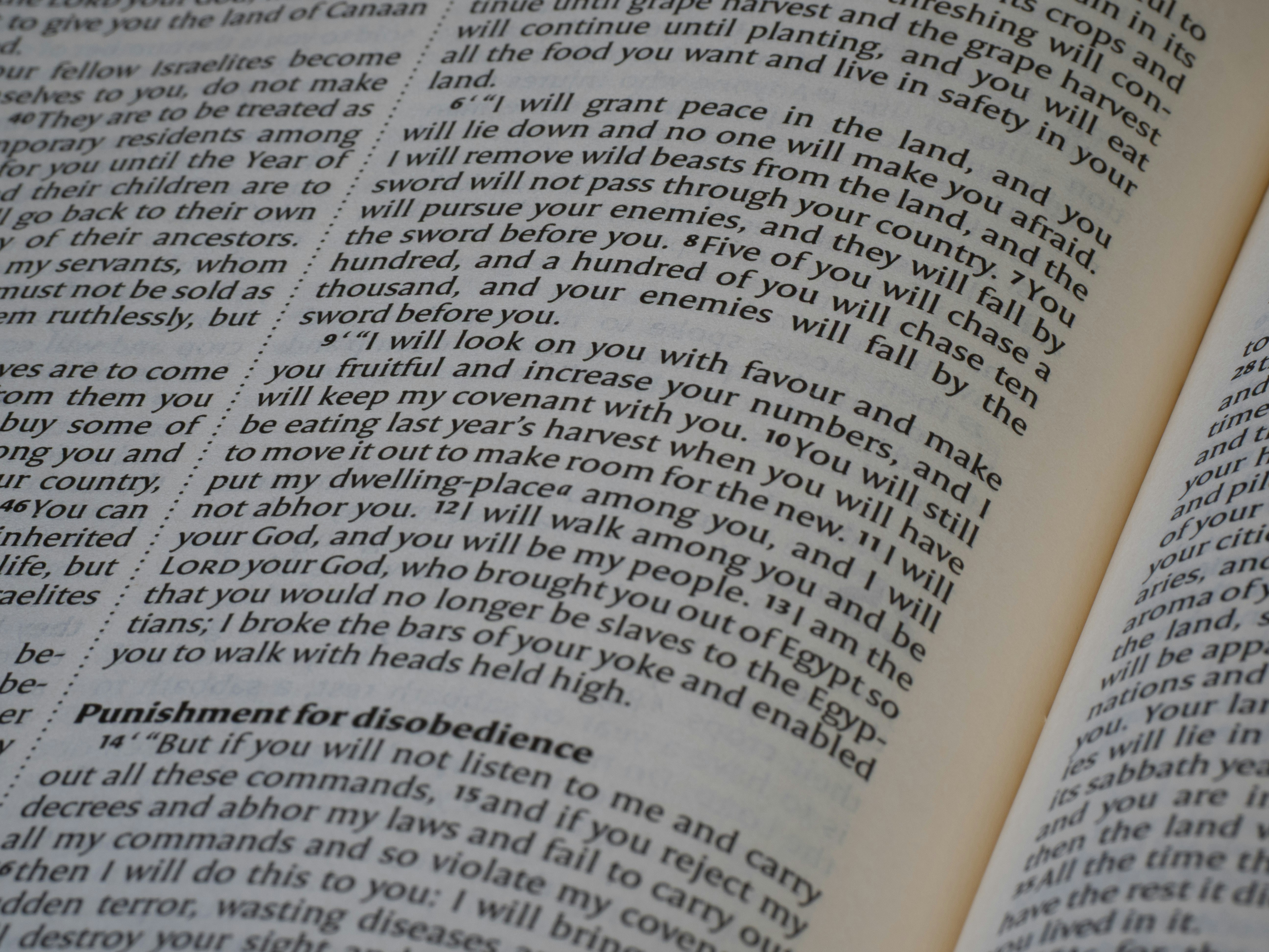 Paragraphs in Focus: Close Scan Across Folded Text