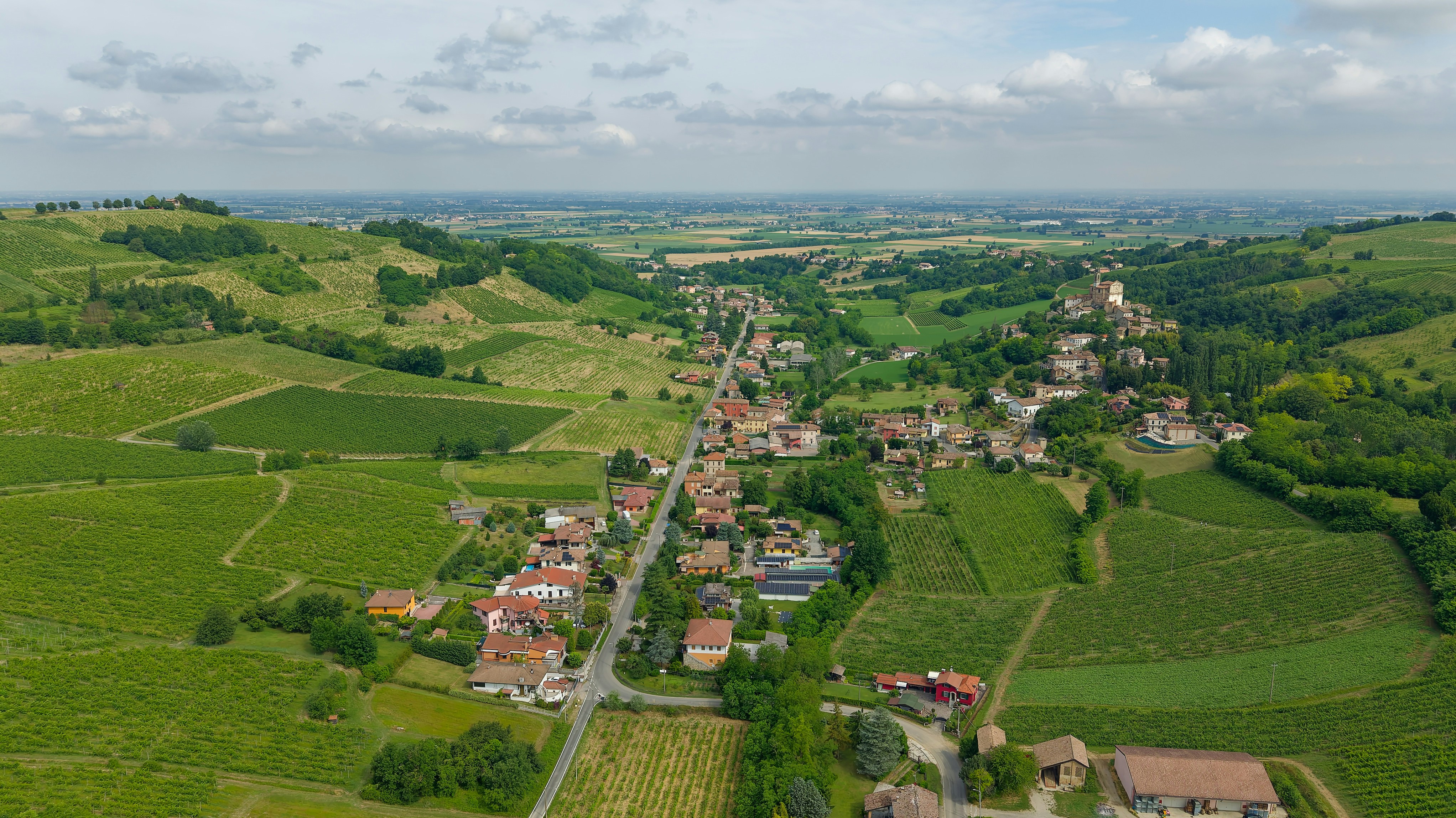 Vineyard Valleys: A Serene Drone Survey Over Rolling Green Hills